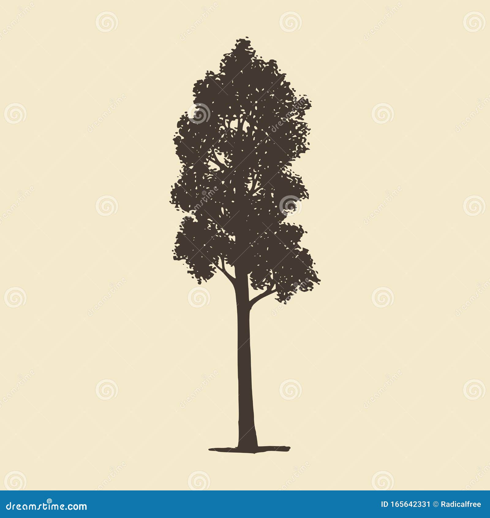 Deciduous Tree Clipart