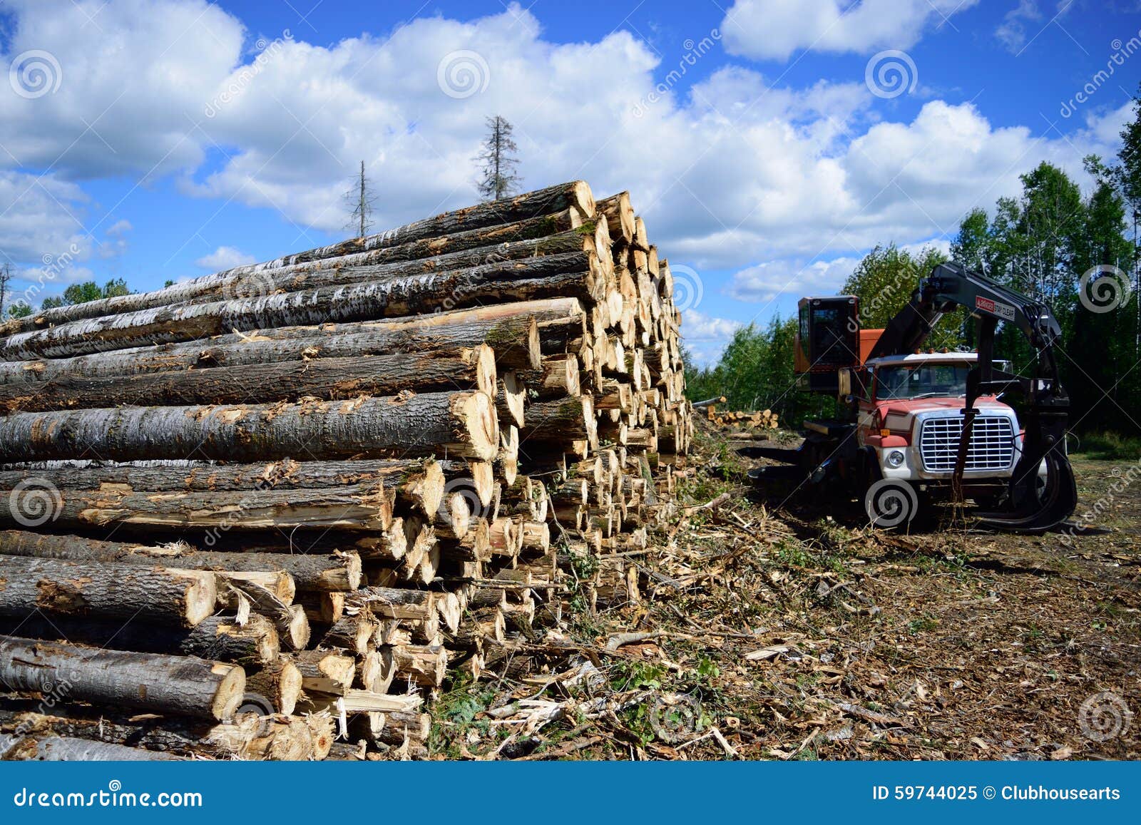 Aspen (Populus Tremuloides) and Log Loader on Summer Landing Stock ...