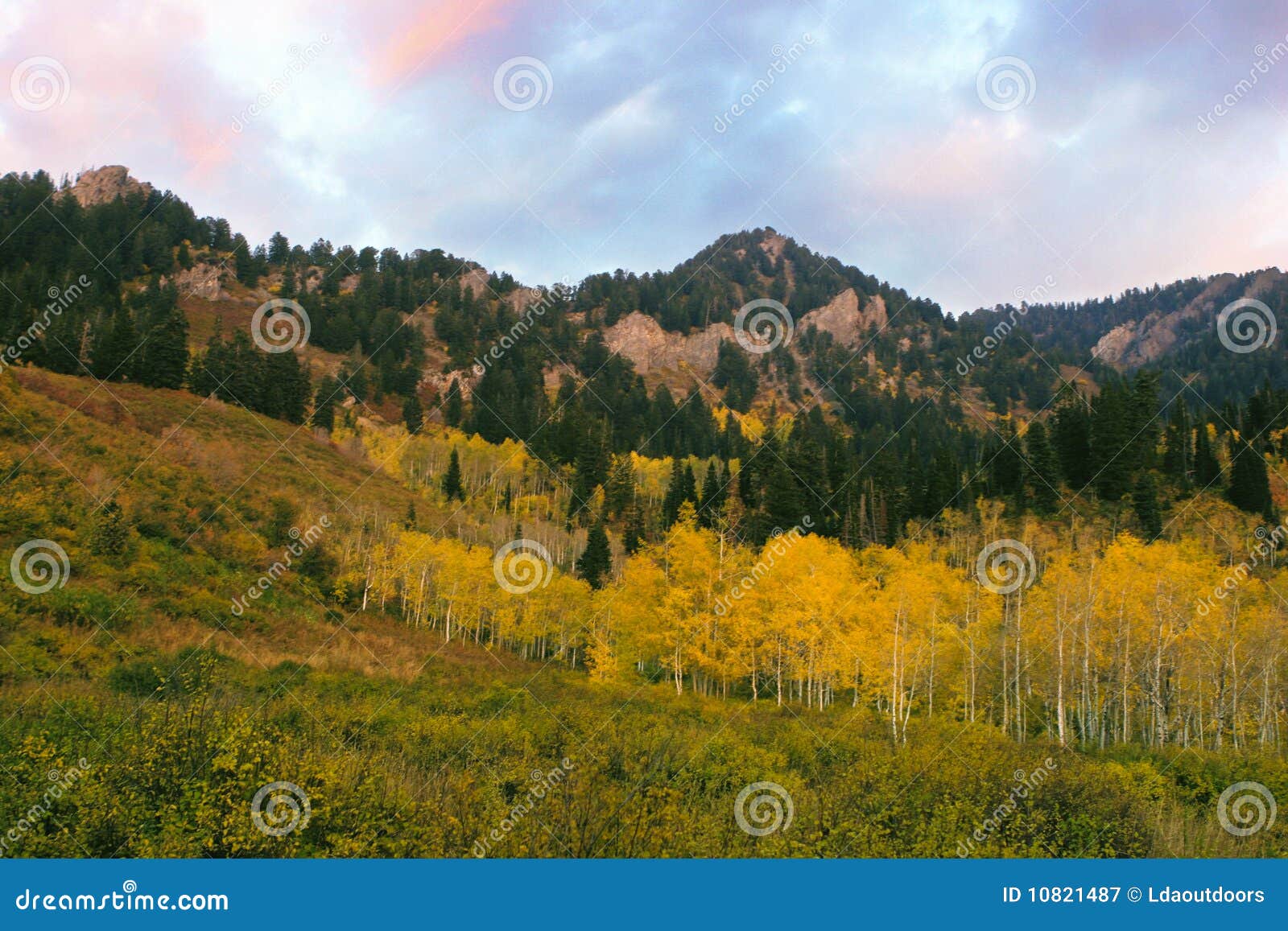Aspen, Sunset and Mountain, Neff S Canyon, Utah Stock Image - Image of ...