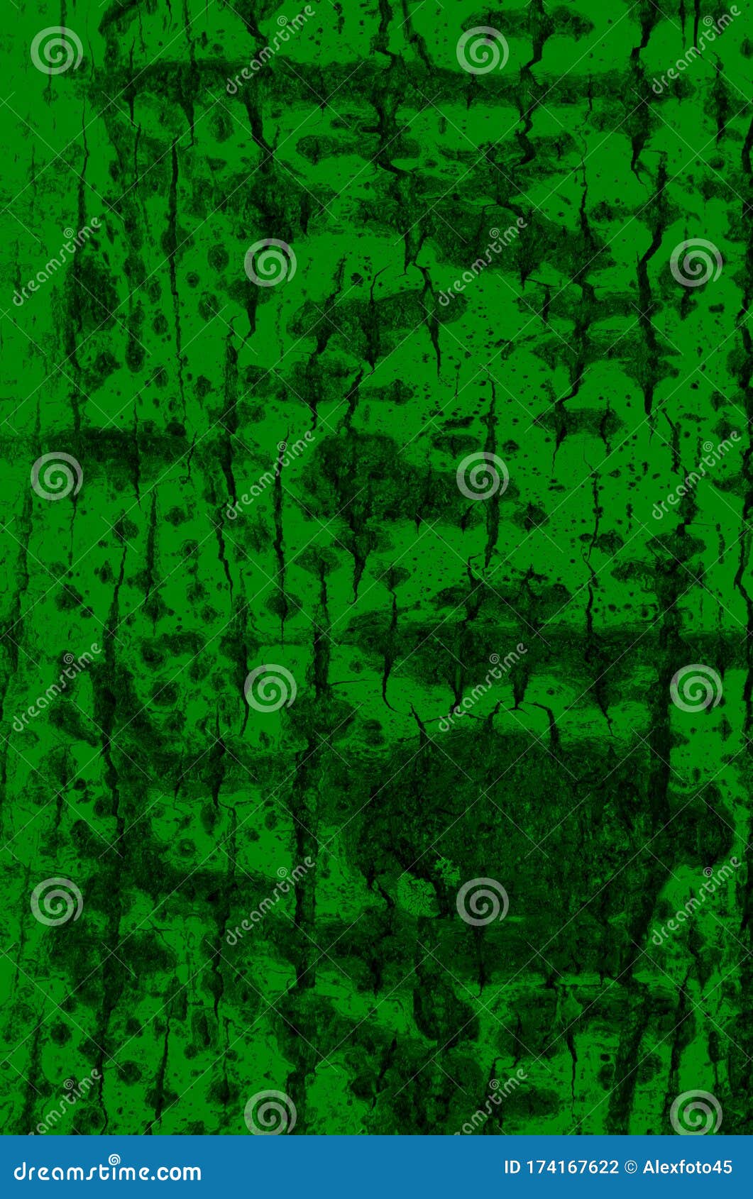 Aspen Tree Bark Green Texture Stock Photo - Image of brown, green ...