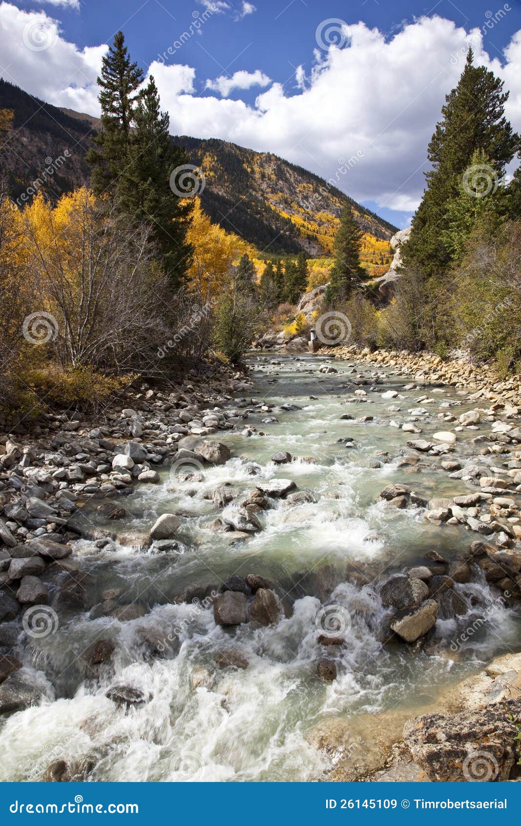 Aspens and Stream stock image. Image of boulders, colorado - 26145109