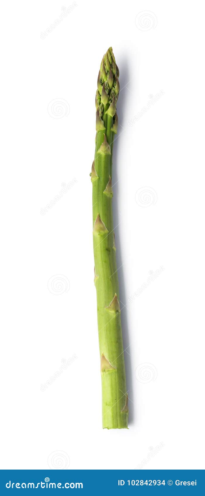 Asperge photo stock. Image du sain, régime, organique - 102842934