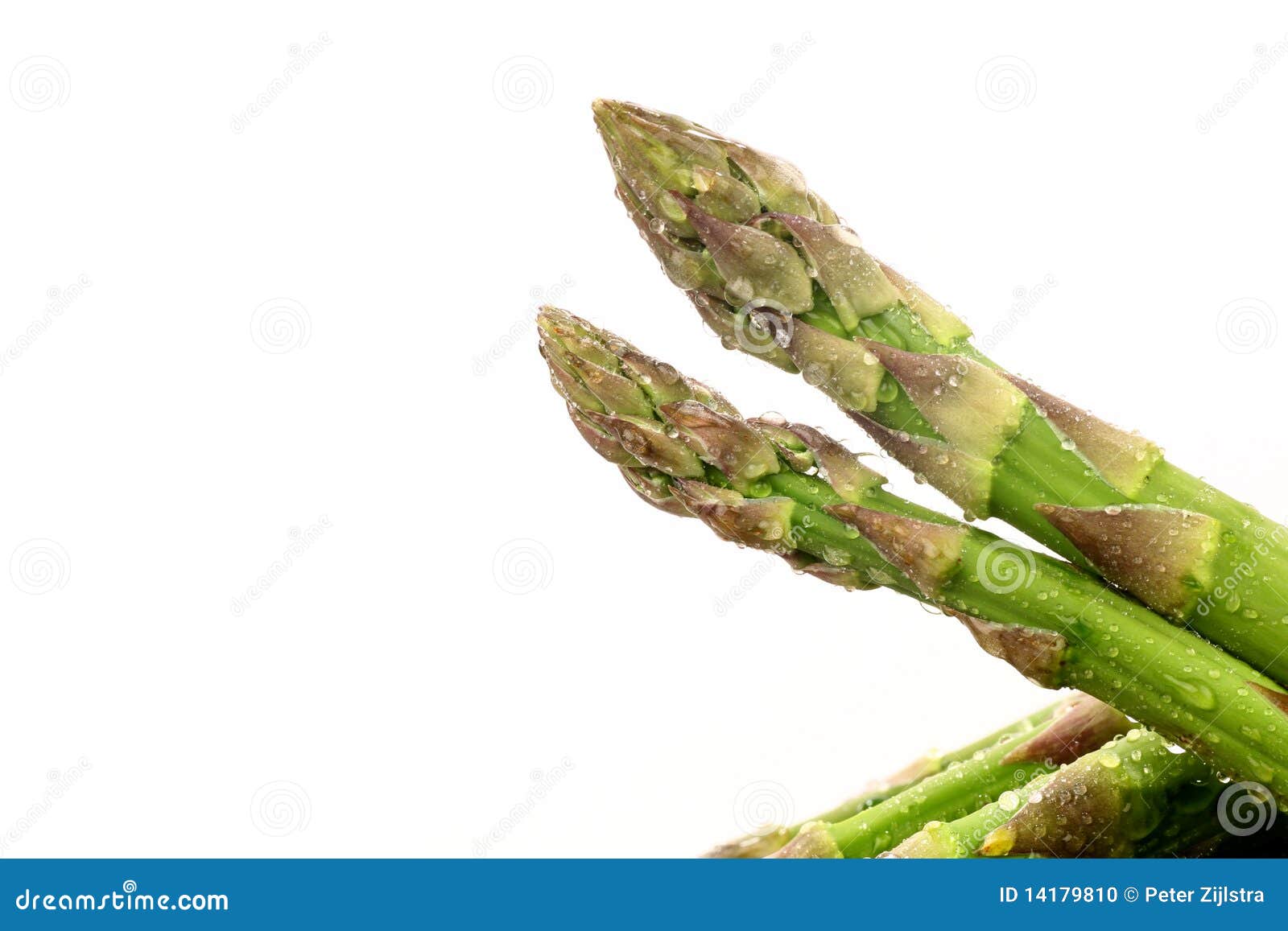 Asperge photo stock. Image du gourmet, centrales, gastronomie - 14179810