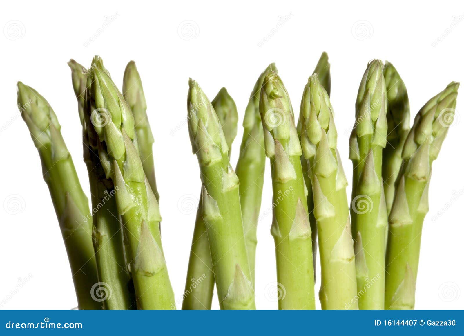 Asperge image stock. Image du asperge, fond, isolement - 16144407