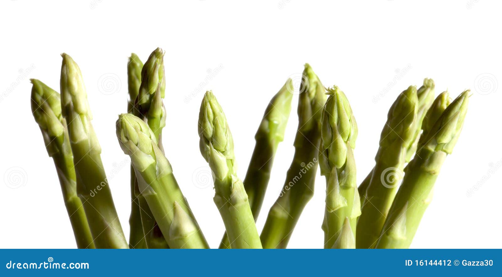 Asperge stock foto. Image of gezond, asperge, plantaardig - 16144412