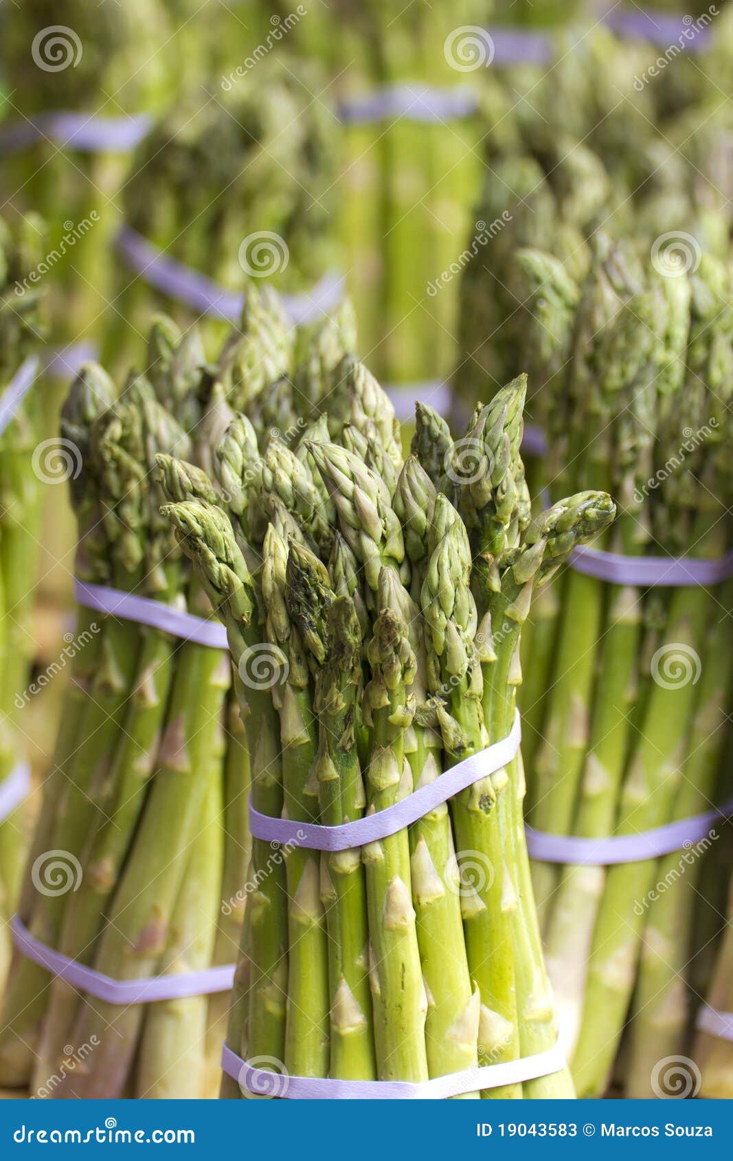 Asperge image stock. Image du ingrédient, frais, herbe - 19043583