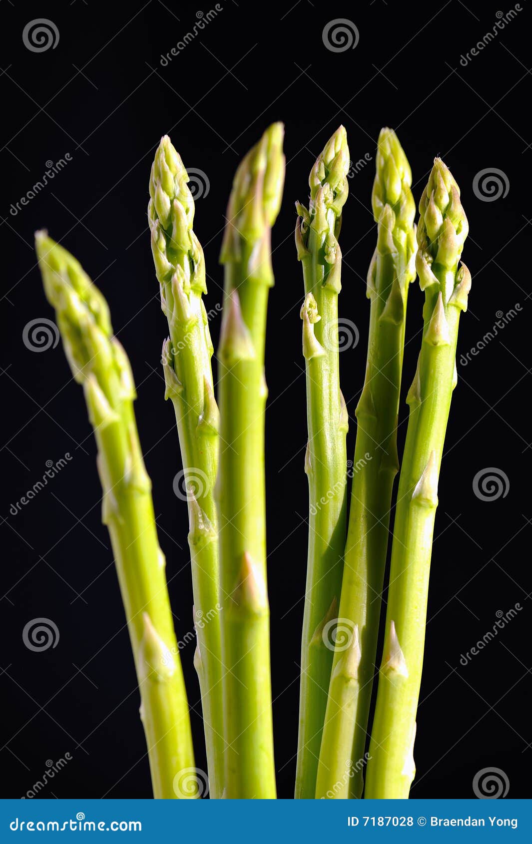 Asperge 4 stock foto. Image of levensstijl, versheid, gastronomisch ...