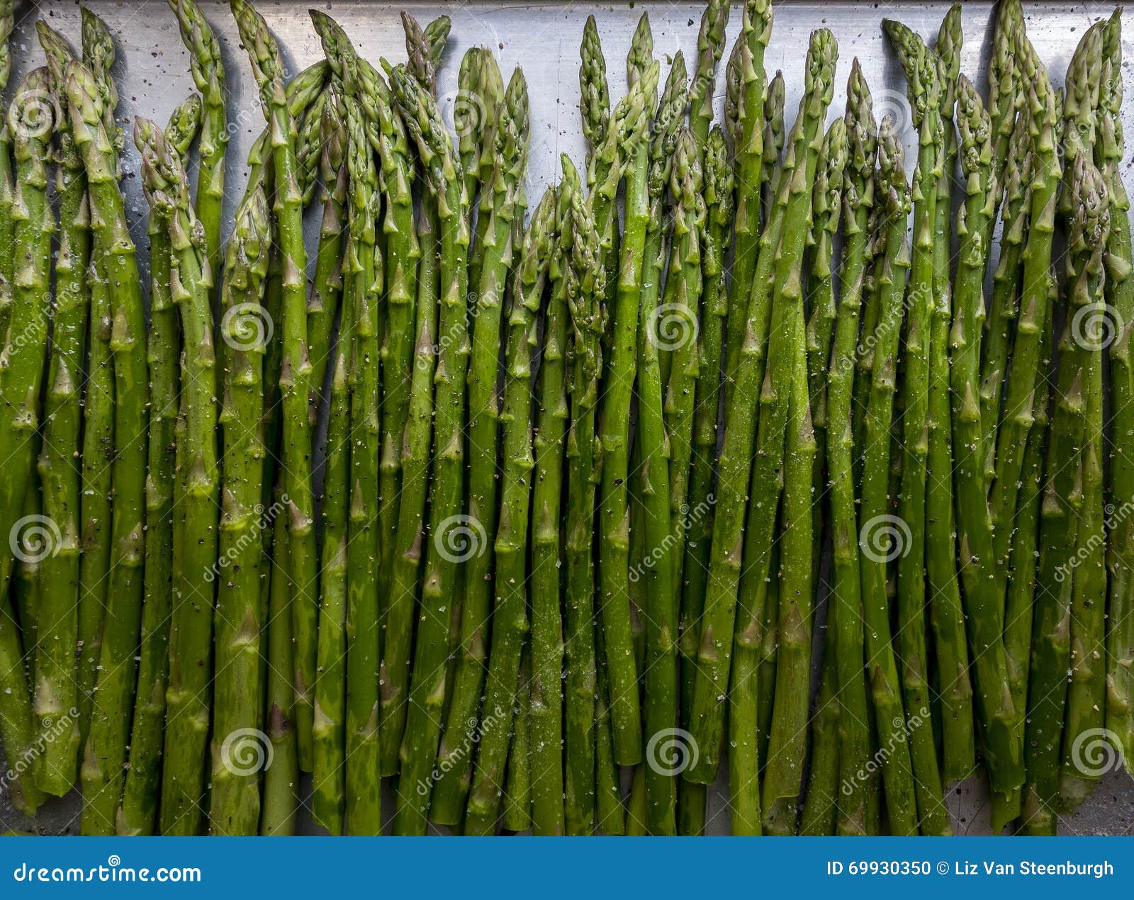 Asperge stock foto. Image of maaltijd, keuken, vers, vegetariër - 69930350
