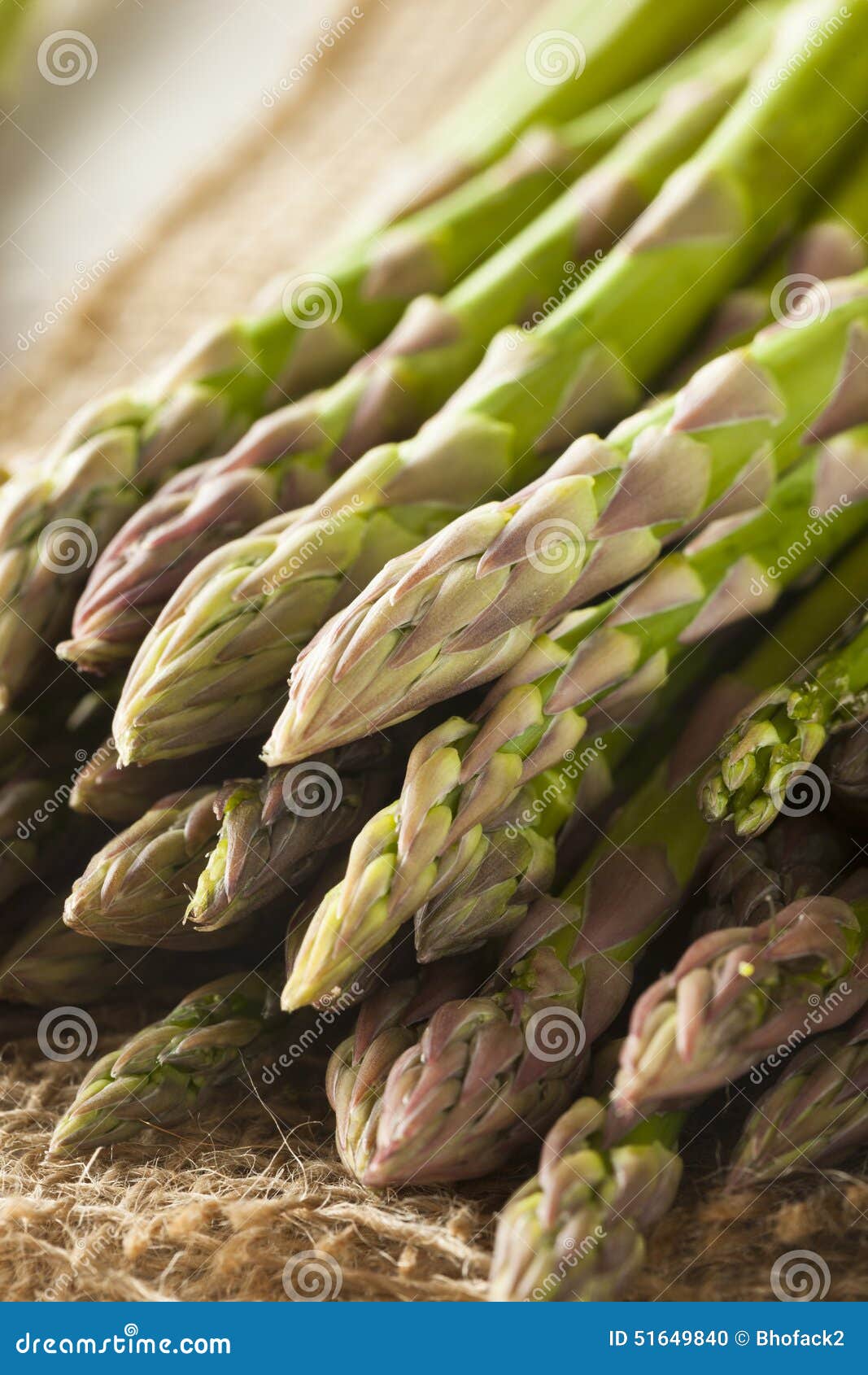 Asperge Verte Crue Organique Photo stock - Image du légume, vivacité ...