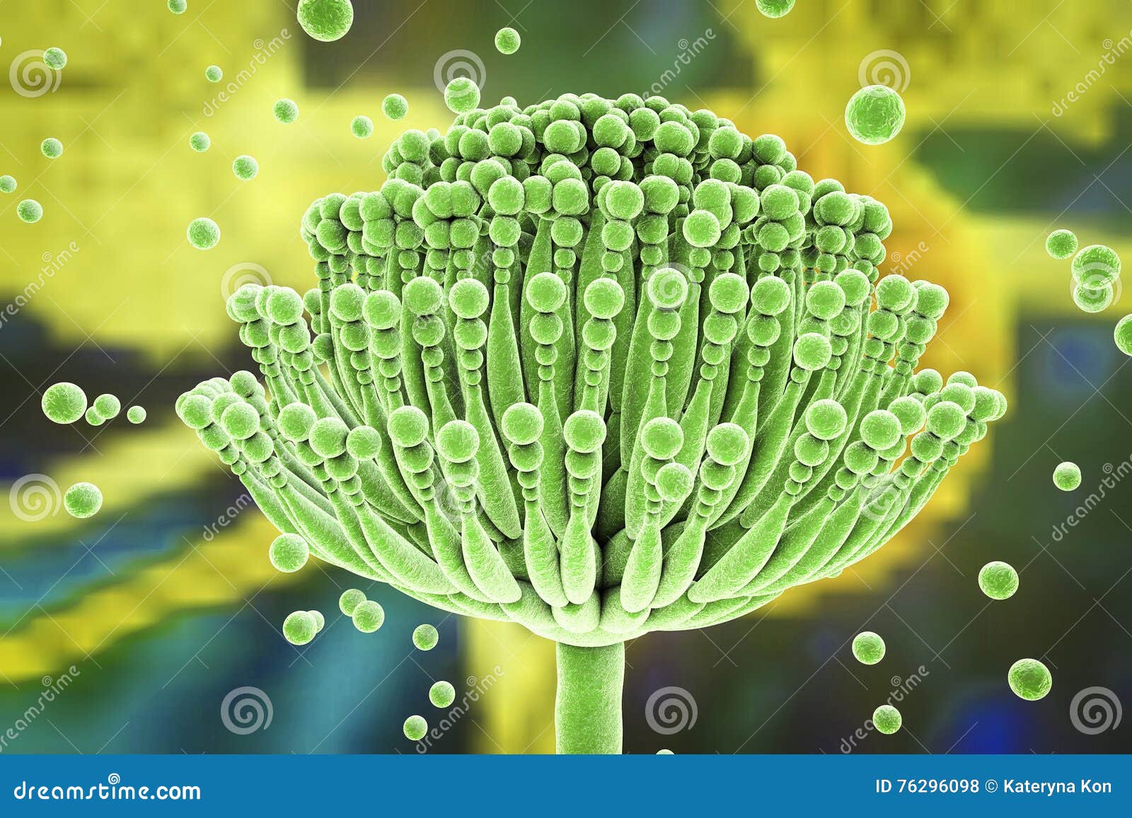 Aspergillus De Los Hongos, Ejemplo 3D Stock de ilustración ...