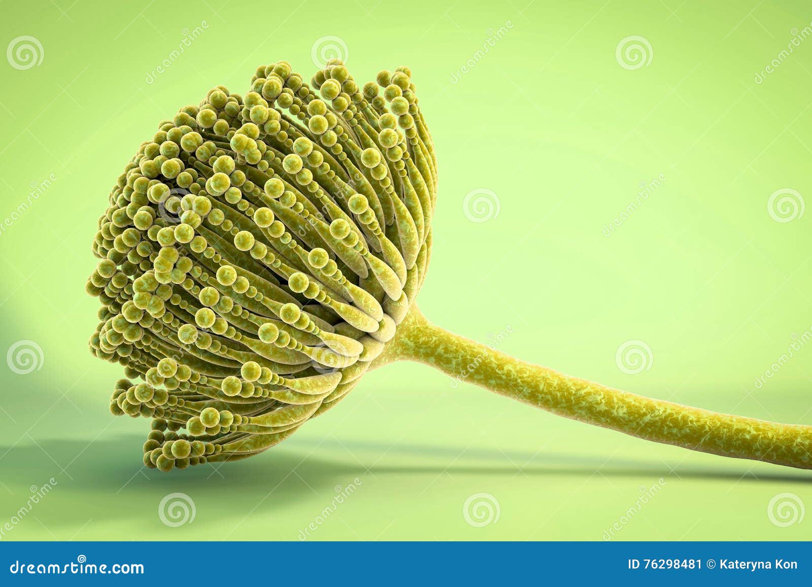 Aspergillus De Los Hongos, Ejemplo 3D Stock de ilustración ...