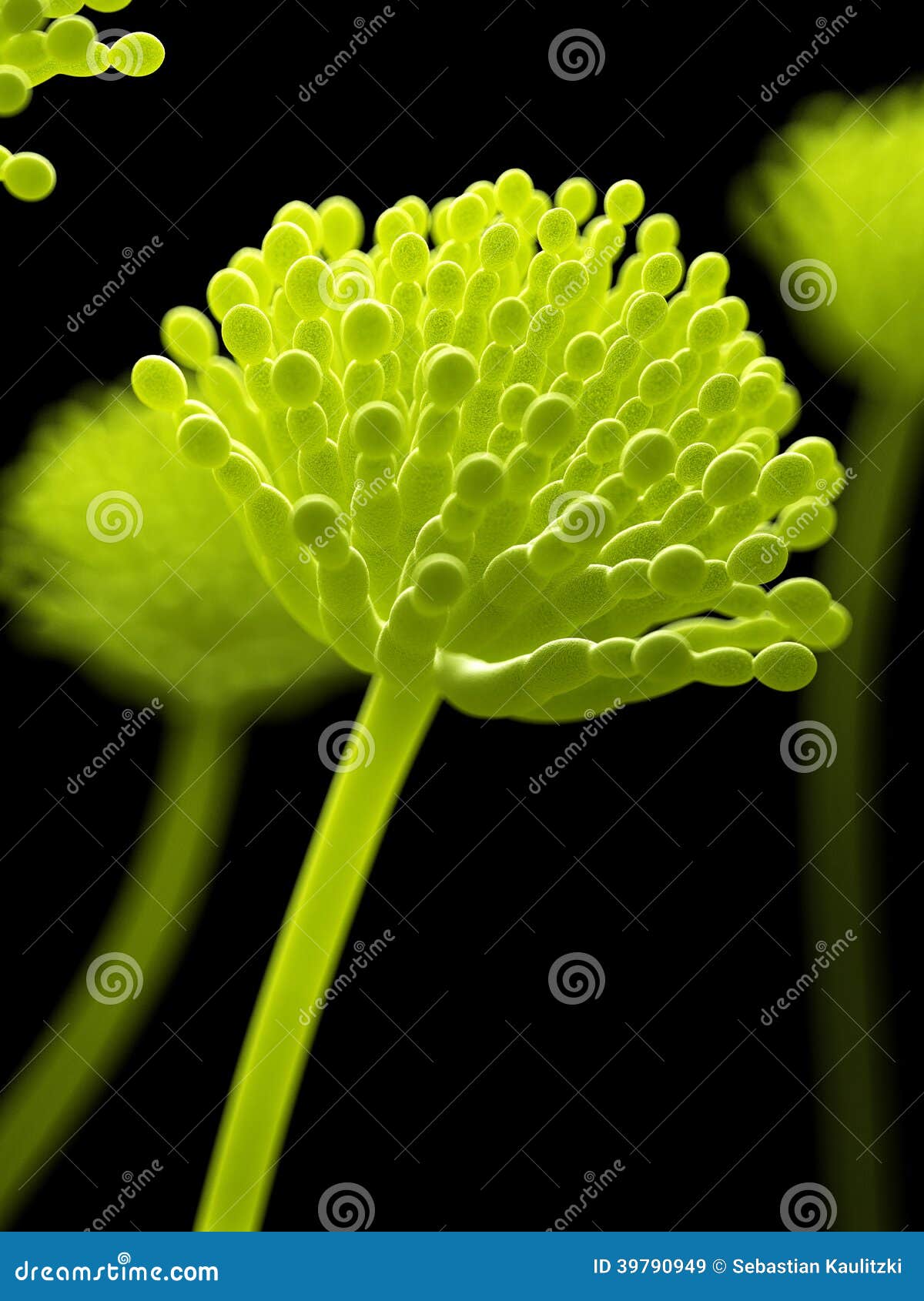 Aflatoxin B1 Mold Carcinogenic Molecule. 3D Rendering. Atoms Are ...