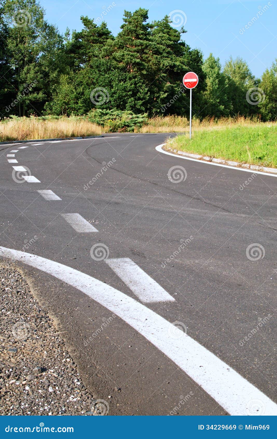 Traffic And Entry Caves Of An Anthill On The Gravel Footpath By Home ...