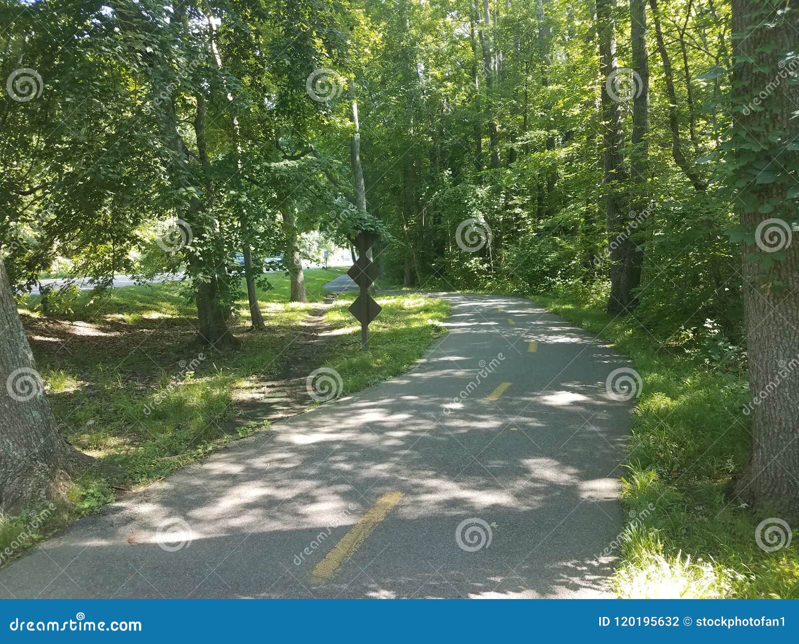 Asphalt Biking Trail with Trees and a Shortcut Path through the Grass ...
