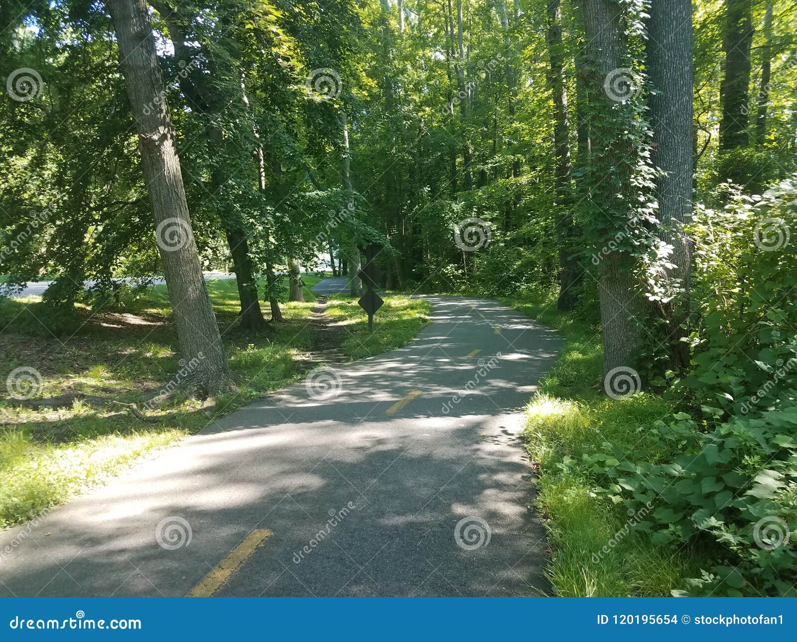 Asphalt Biking Trail with Trees and a Shortcut Path through the Grass ...