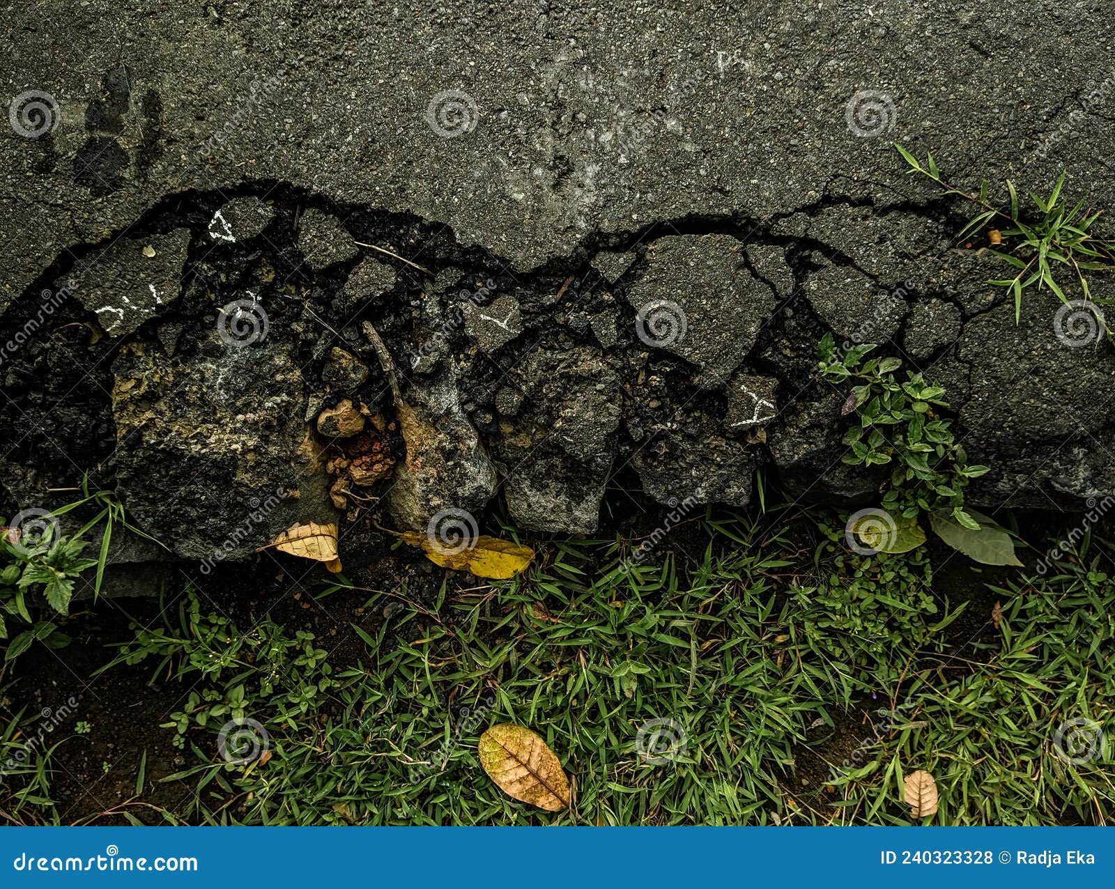 Asphalt is Broken and Messy Stock Photo - Image of branch, plant: 240323328