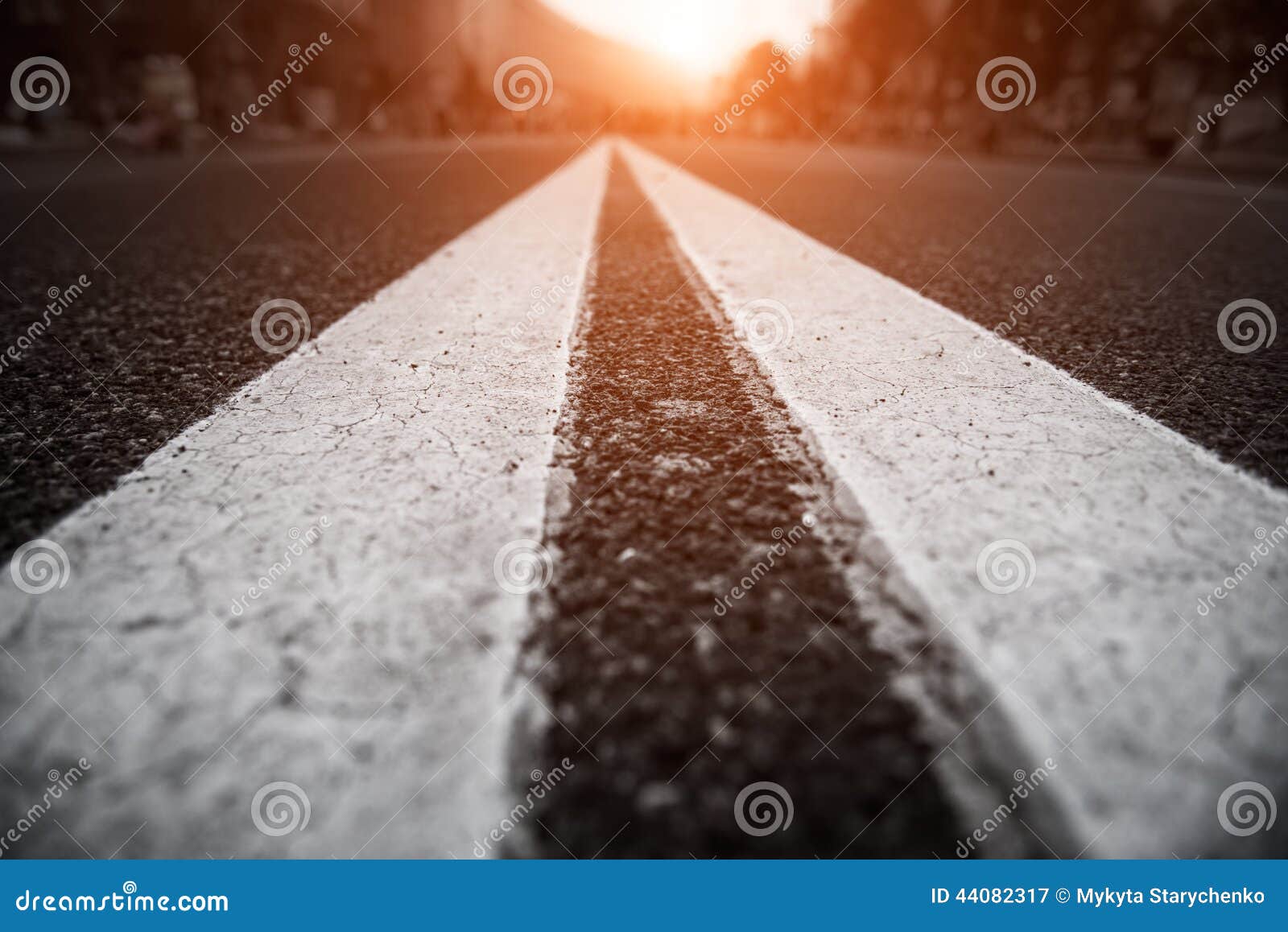 White Lines On Football Playground. Detail Of Lines In A Soccer Field ...