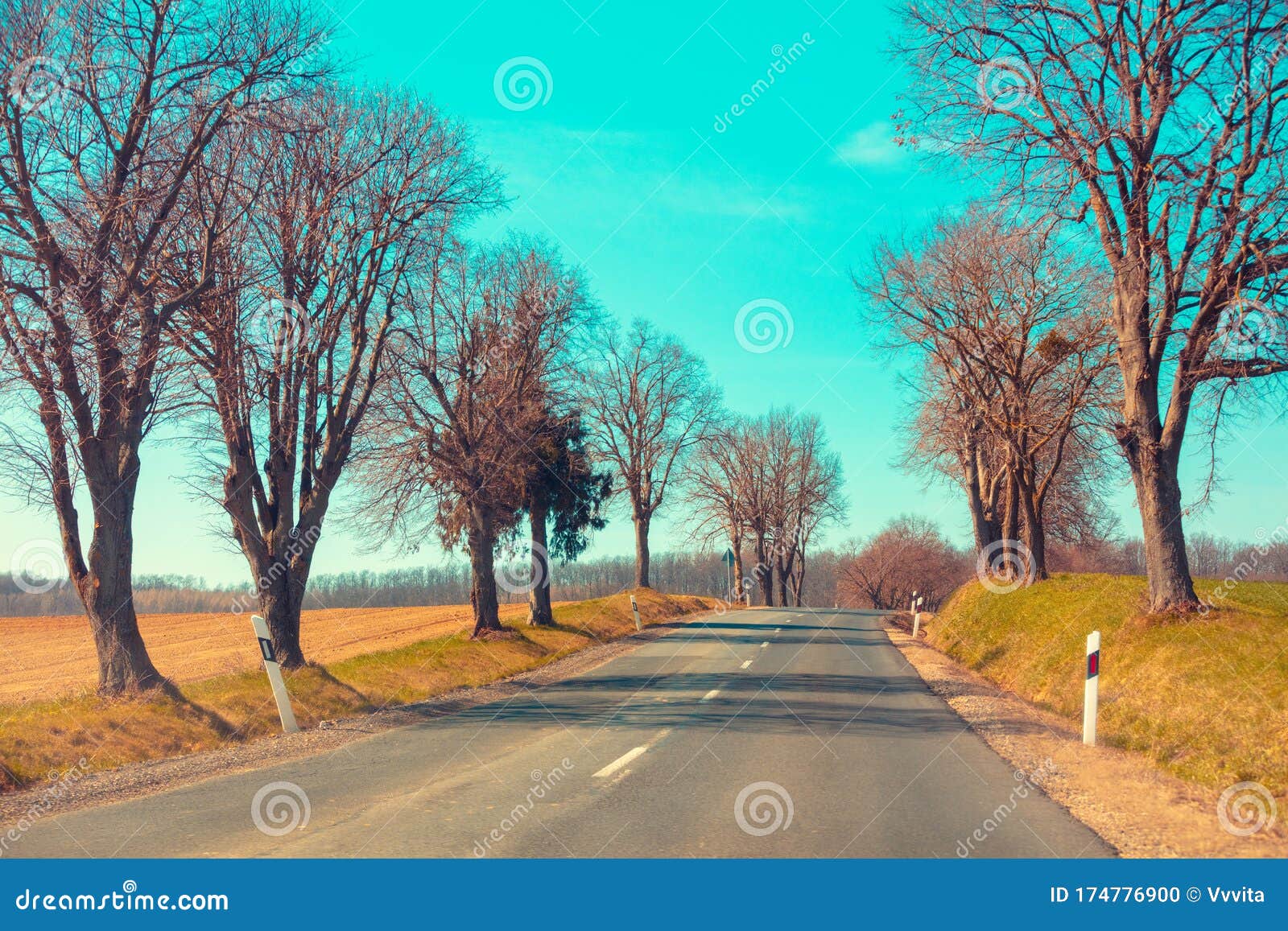Asphalt Country Road in Early Spring Stock Photo - Image of grove, trip ...