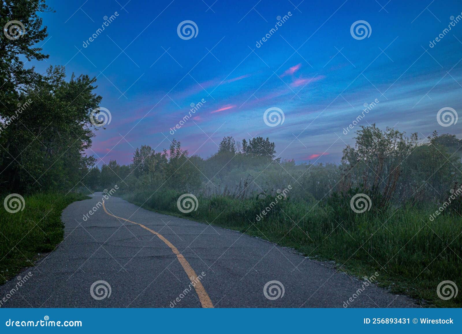 Asphalt Country Road and Misty Field during Sunset Stock Image - Image ...