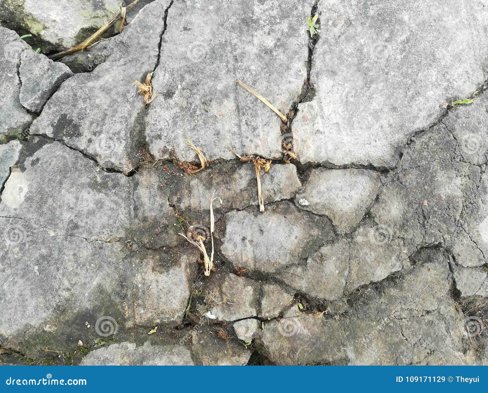 Asphalt crack stock image. Image of cement, block, crack - 109171129