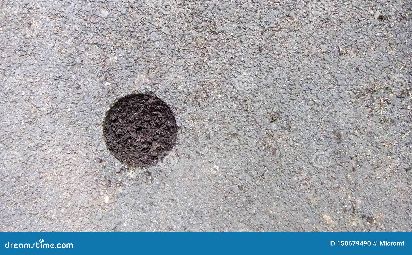 Asphalt Cutting for the Study of the Sample in the Laboratory. Core ...