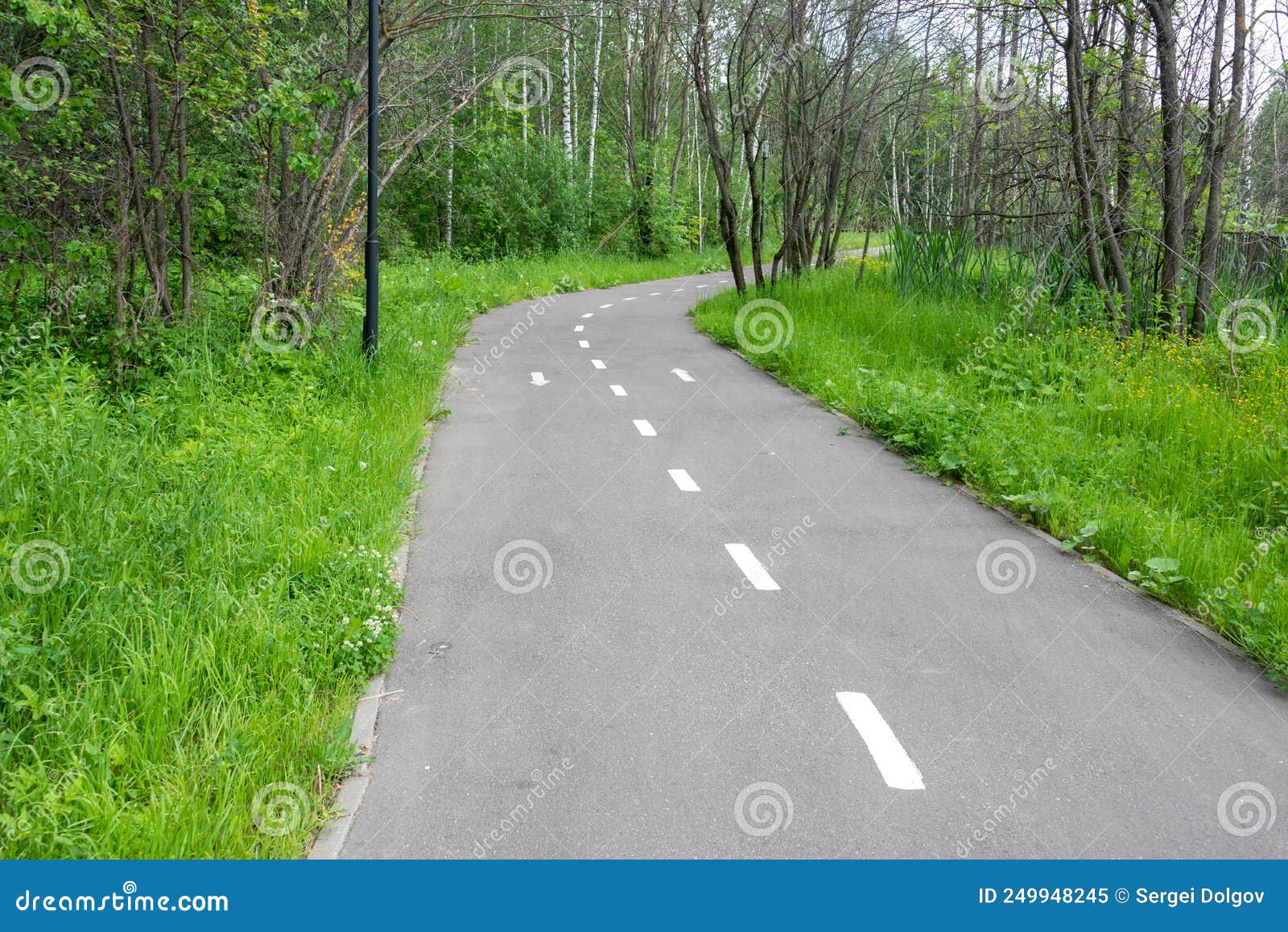 Asphalt Cycle Path with Central Markings and Direction Arrows in a ...