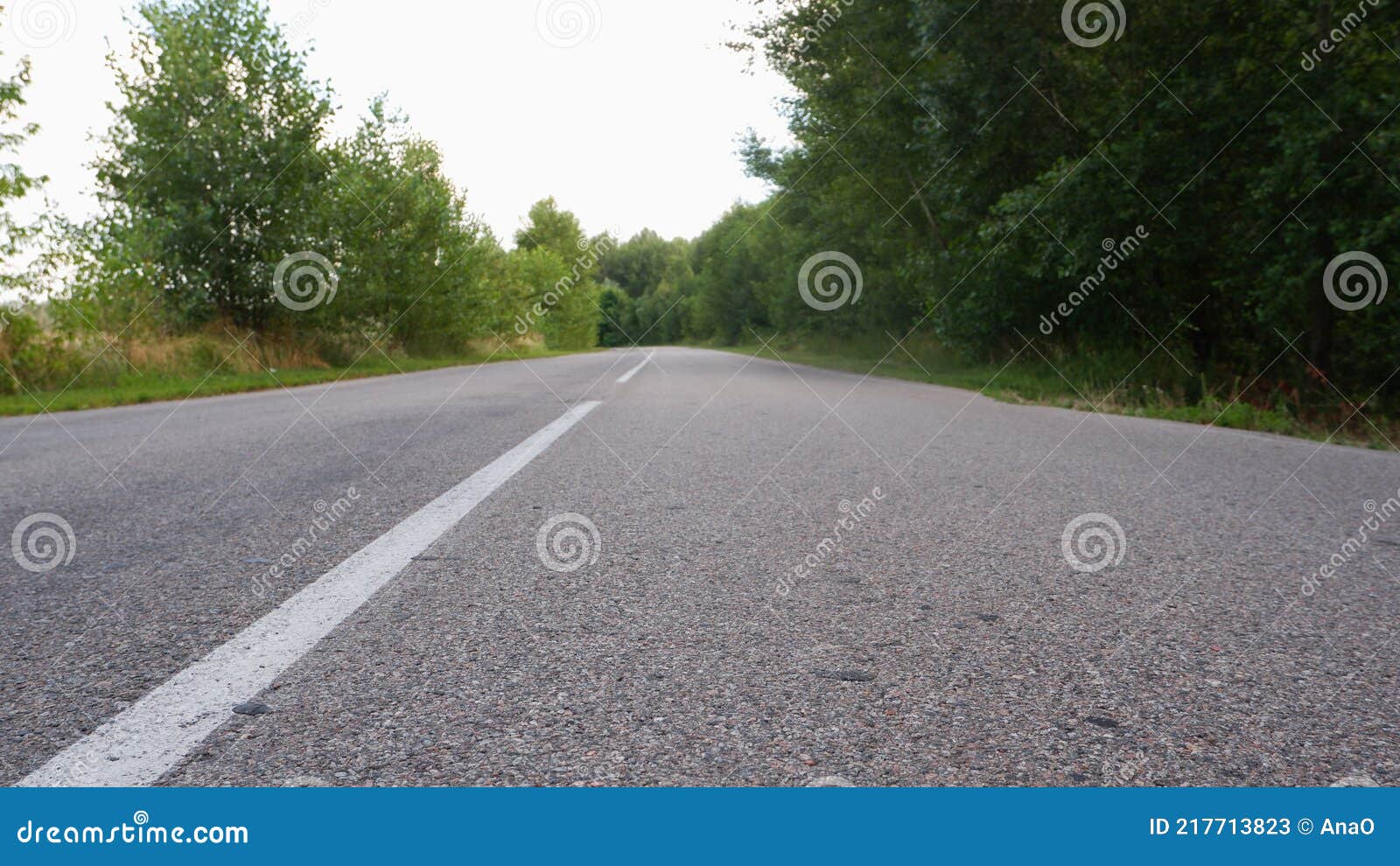 Asphalt Gray Road among Greenery Low Plan Stock Image - Image of ...