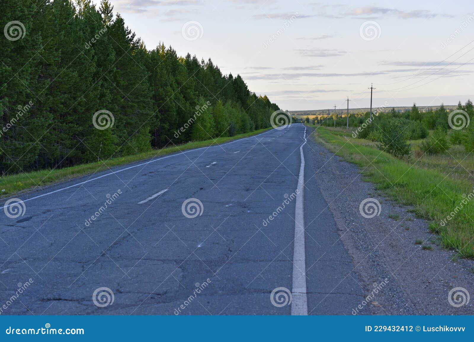 Asphalt High-speed Highway in the Forest in Summer Stock Photo - Image ...