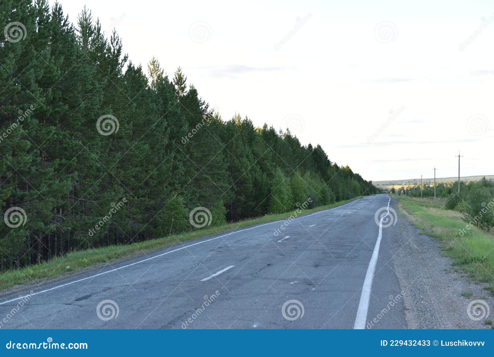 Asphalt High-speed Highway in the Forest in Summer Stock Image - Image ...