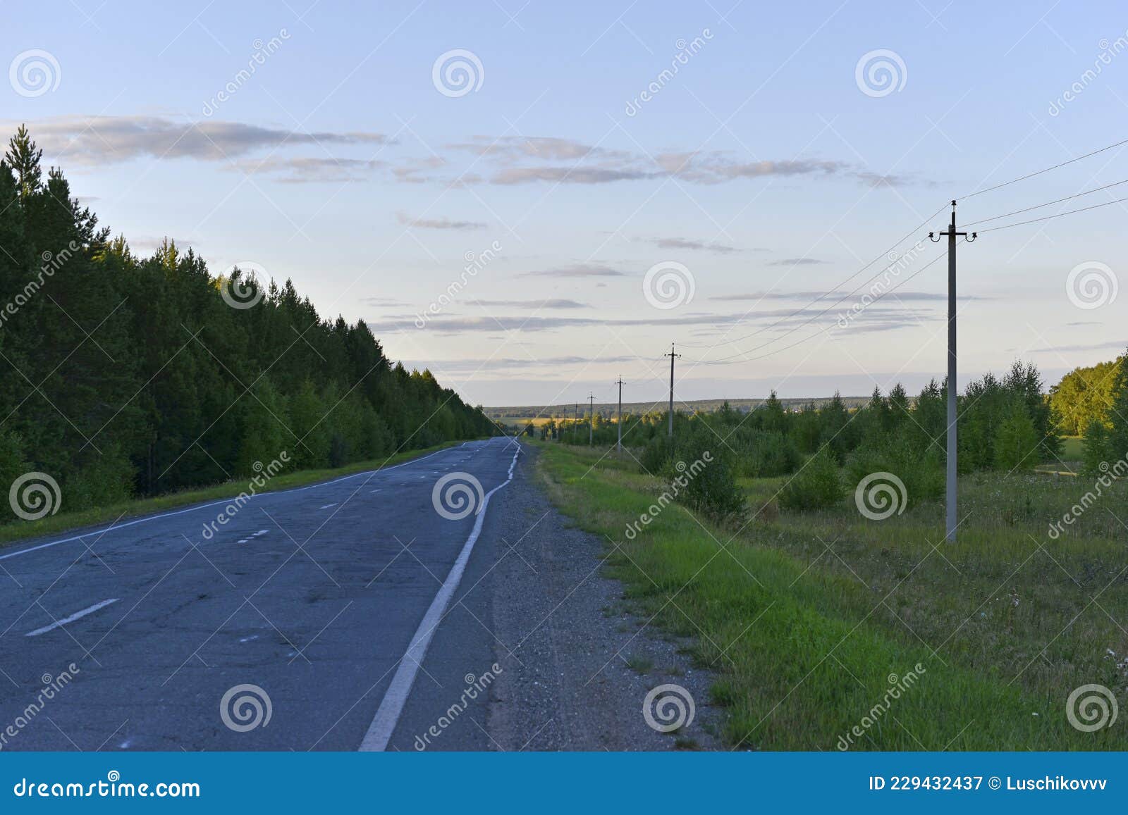 Asphalt High-speed Highway in the Forest in Summer Stock Image - Image ...