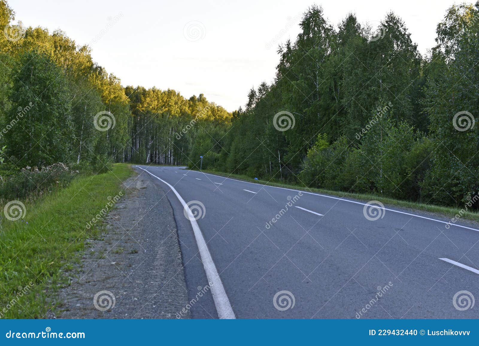Asphalt High-speed Highway in the Forest in Summer Stock Photo - Image ...