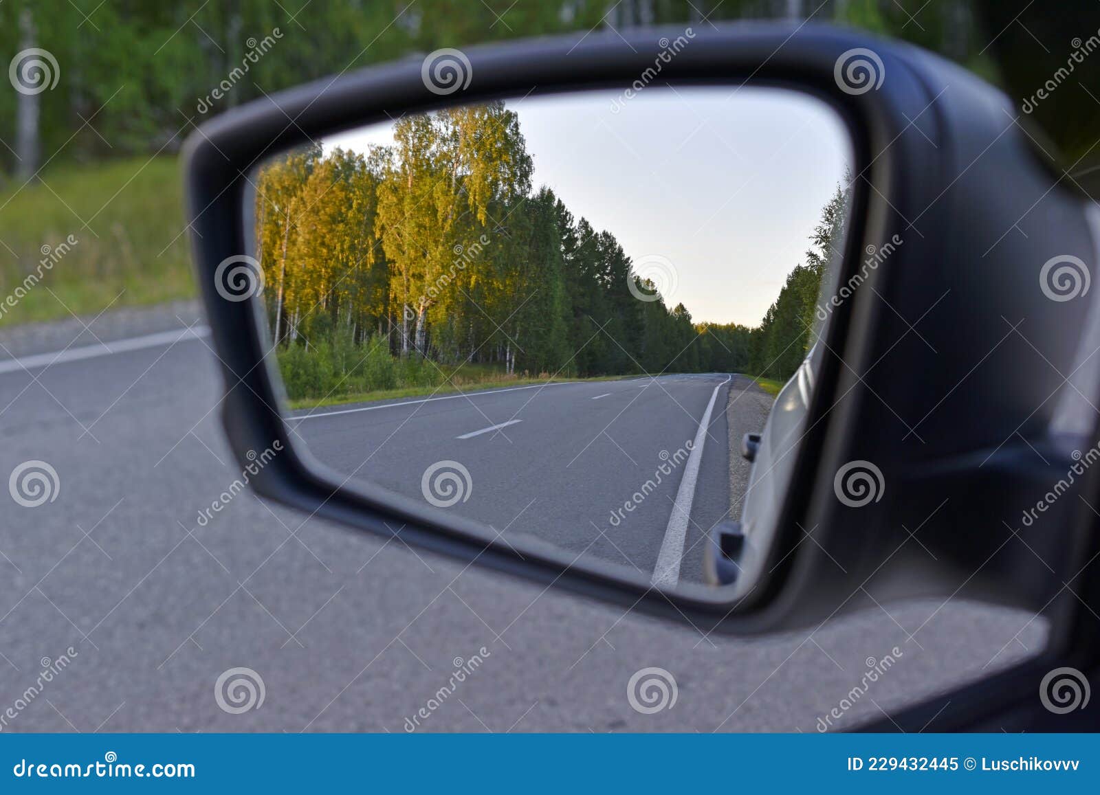 Asphalt High-speed Highway in the Forest in Summer Stock Image - Image ...