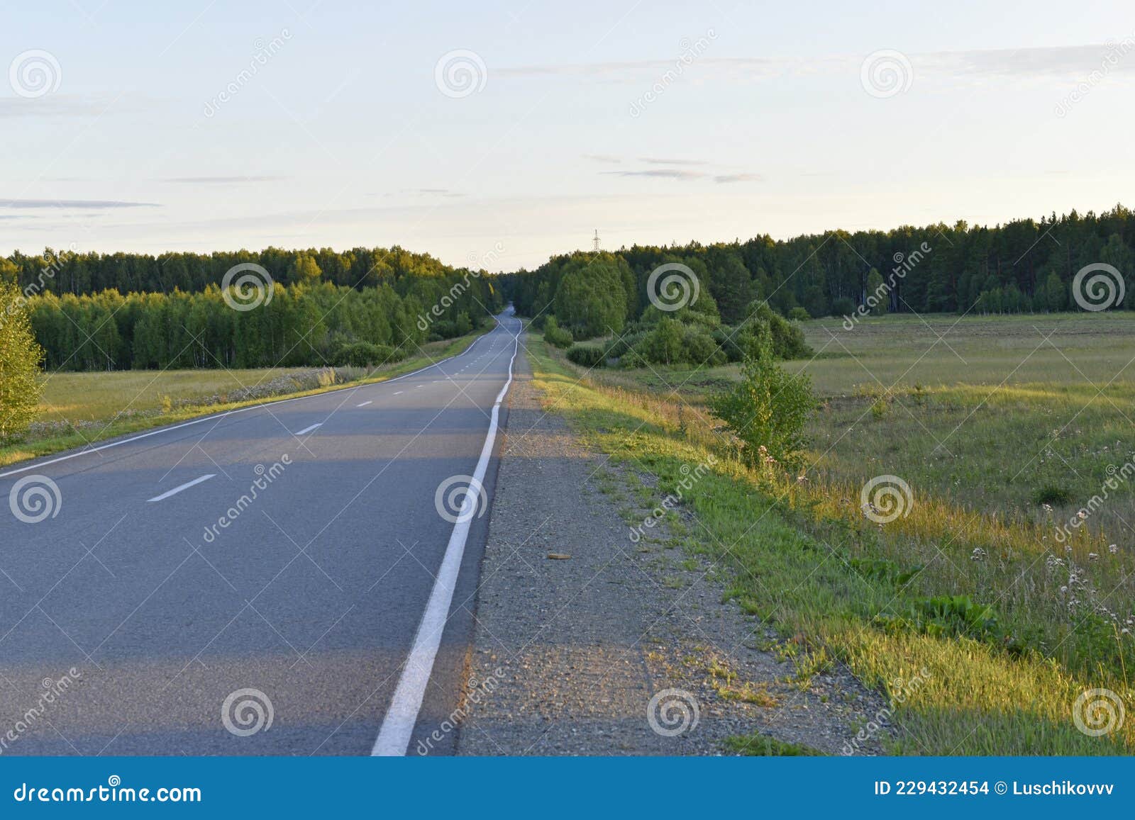 Asphalt High-speed Highway in the Forest in Summer Stock Photo - Image ...