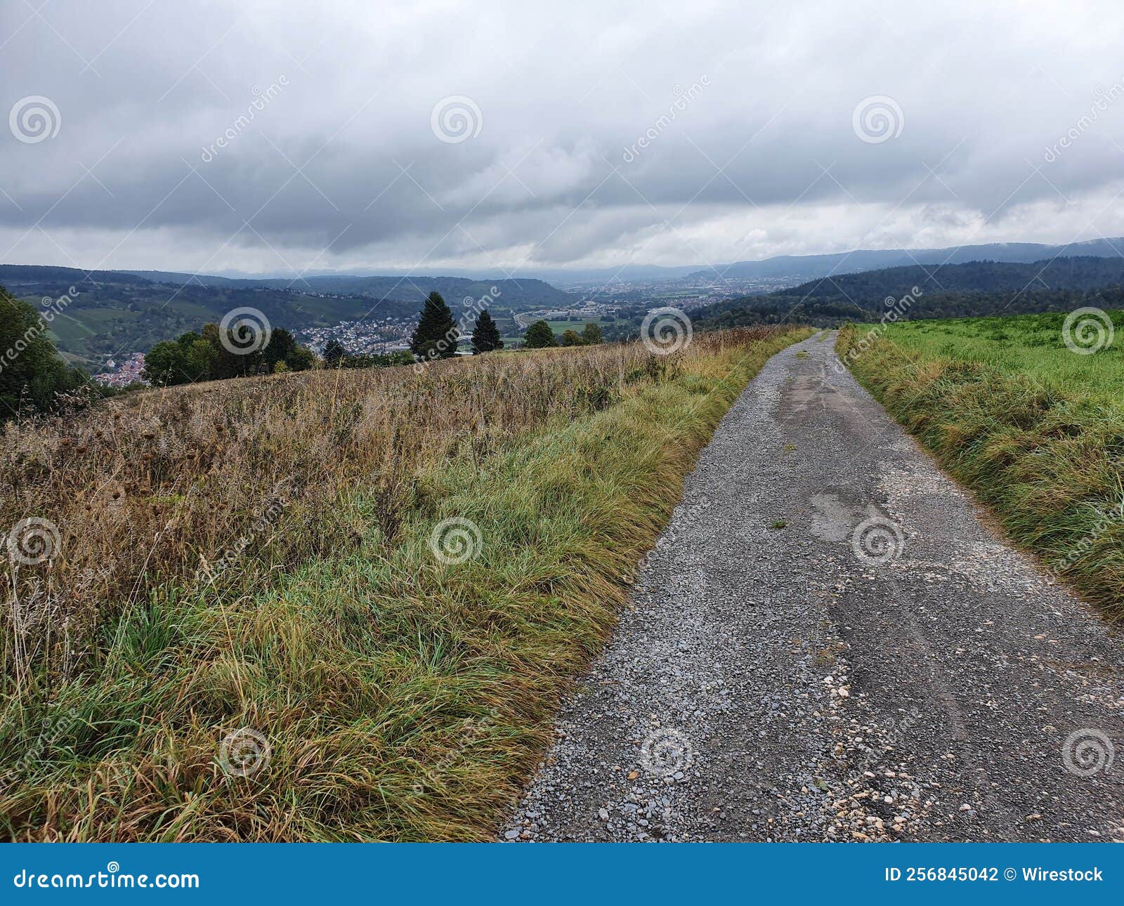 Asphalt Path between a Field with Mountains in the Background on a ...