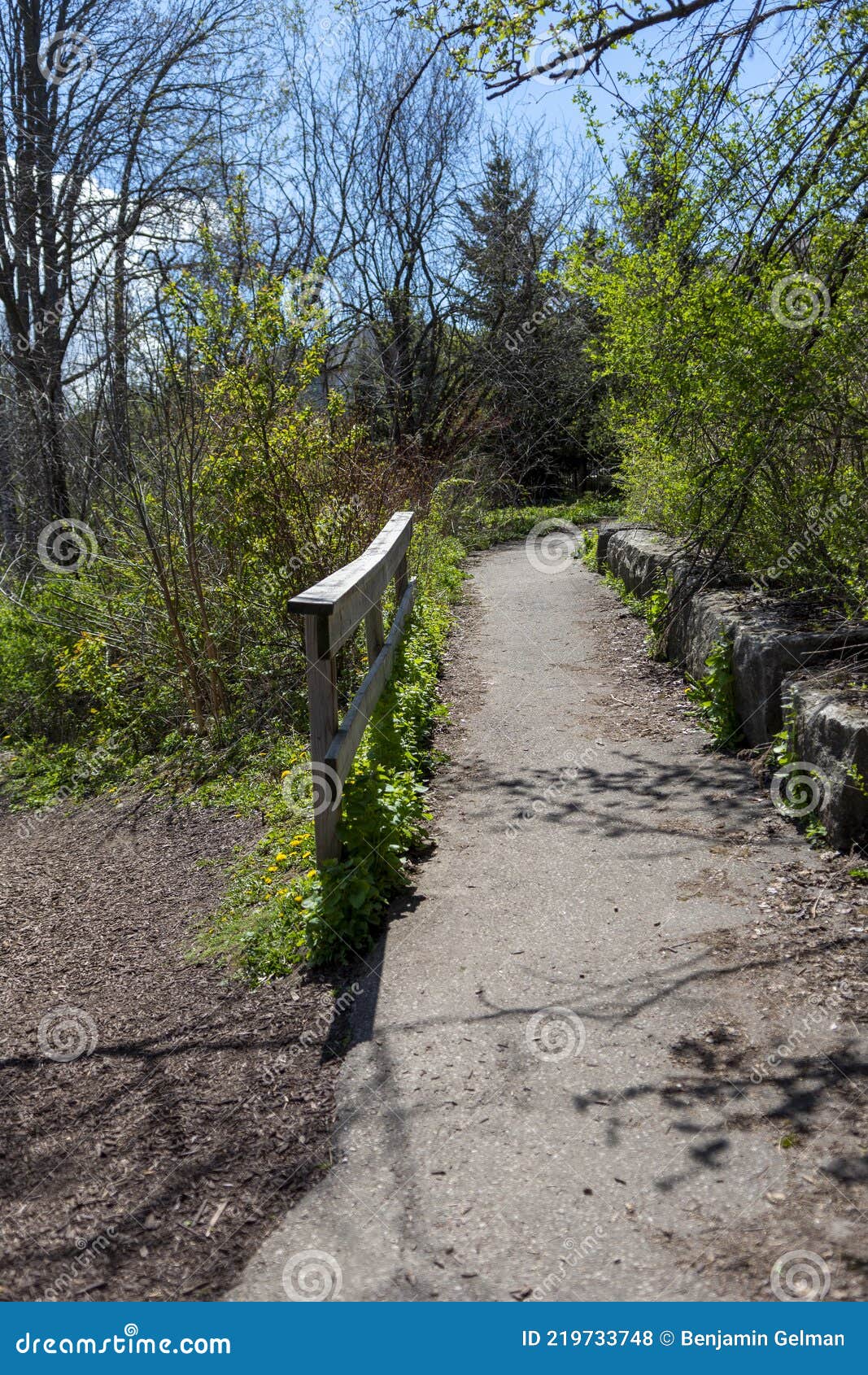 Asphalt Path from the Forest Stock Photo - Image of path, summer: 219733748