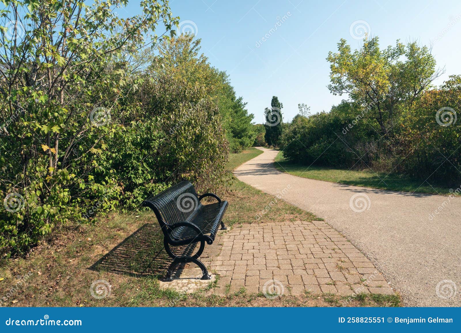 Asphalt path in the park stock image. Image of asphalt - 258825551