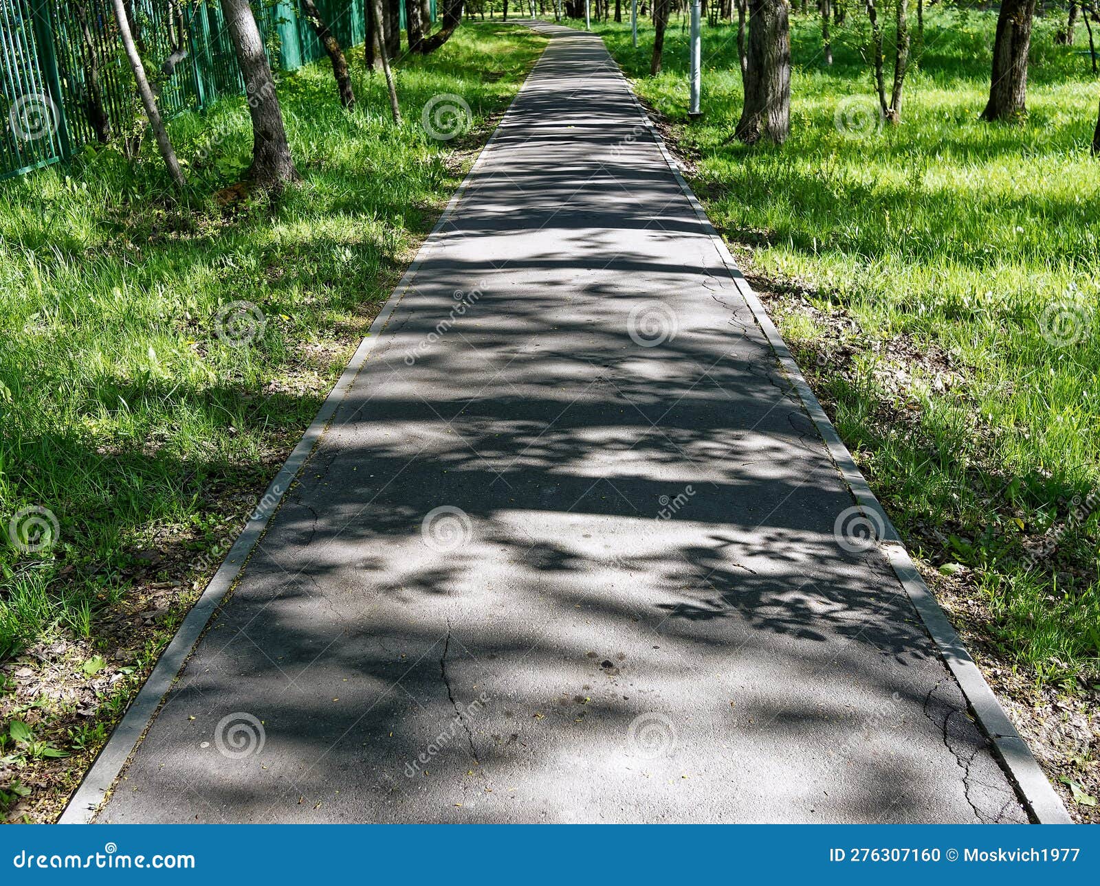 Asphalt path in the park stock photo. Image of forest - 276307160