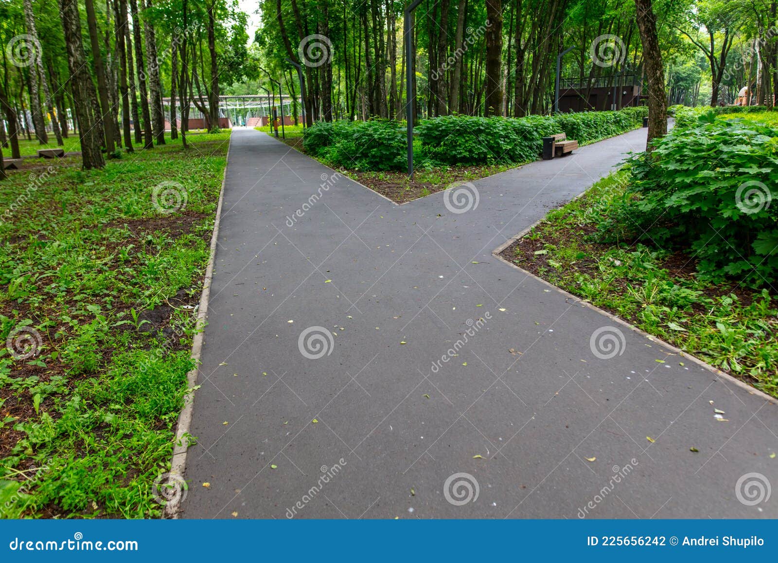 Asphalt path in the park stock photo. Image of restriction - 225656242