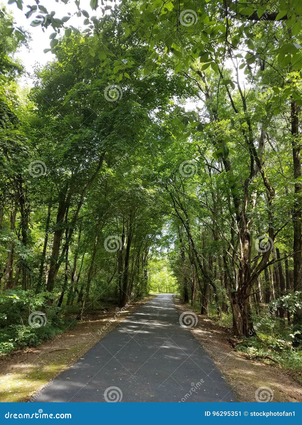 Asphalt Path through the Woods Stock Image - Image of walking, ashpalt ...