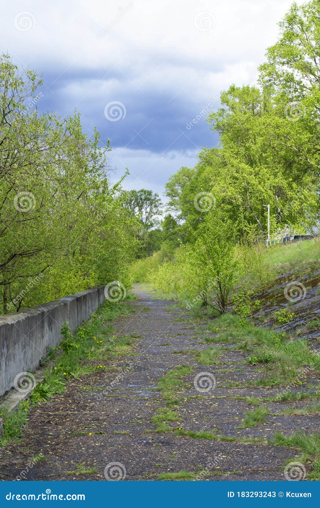 Asphalt Pathway Through An Overgrown Garden Stock Photo | CartoonDealer ...