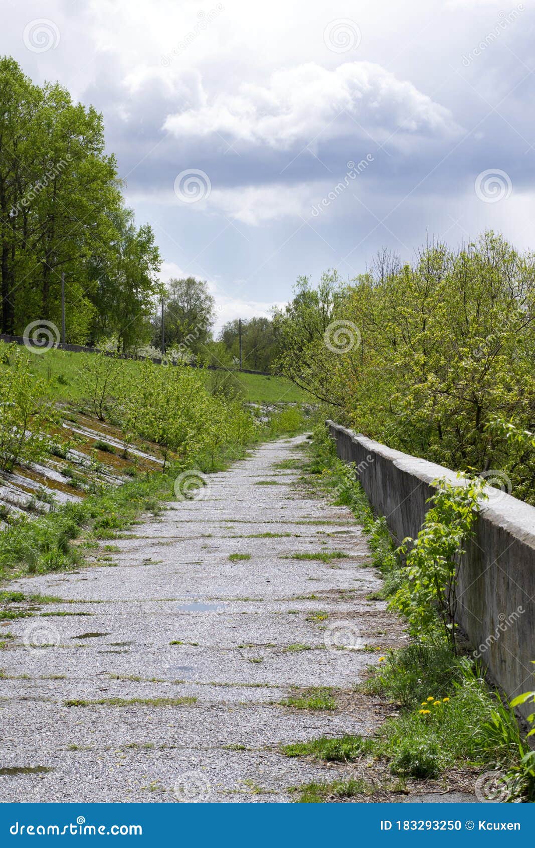 Asphalt Pathway among Green Trees Stock Photo - Image of pathway ...