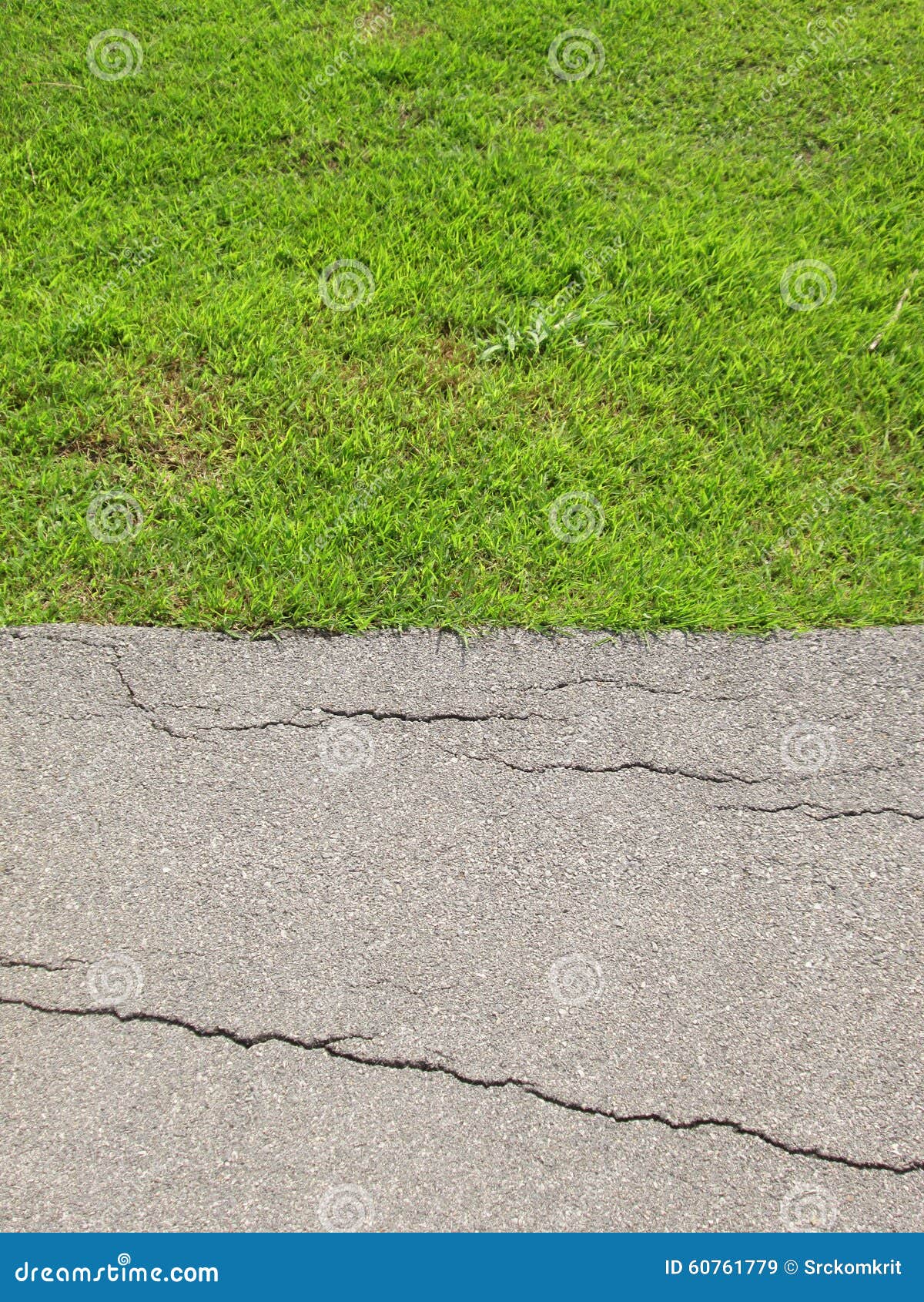 Asphalt Pathway Through An Overgrown Garden Stock Photo | CartoonDealer ...