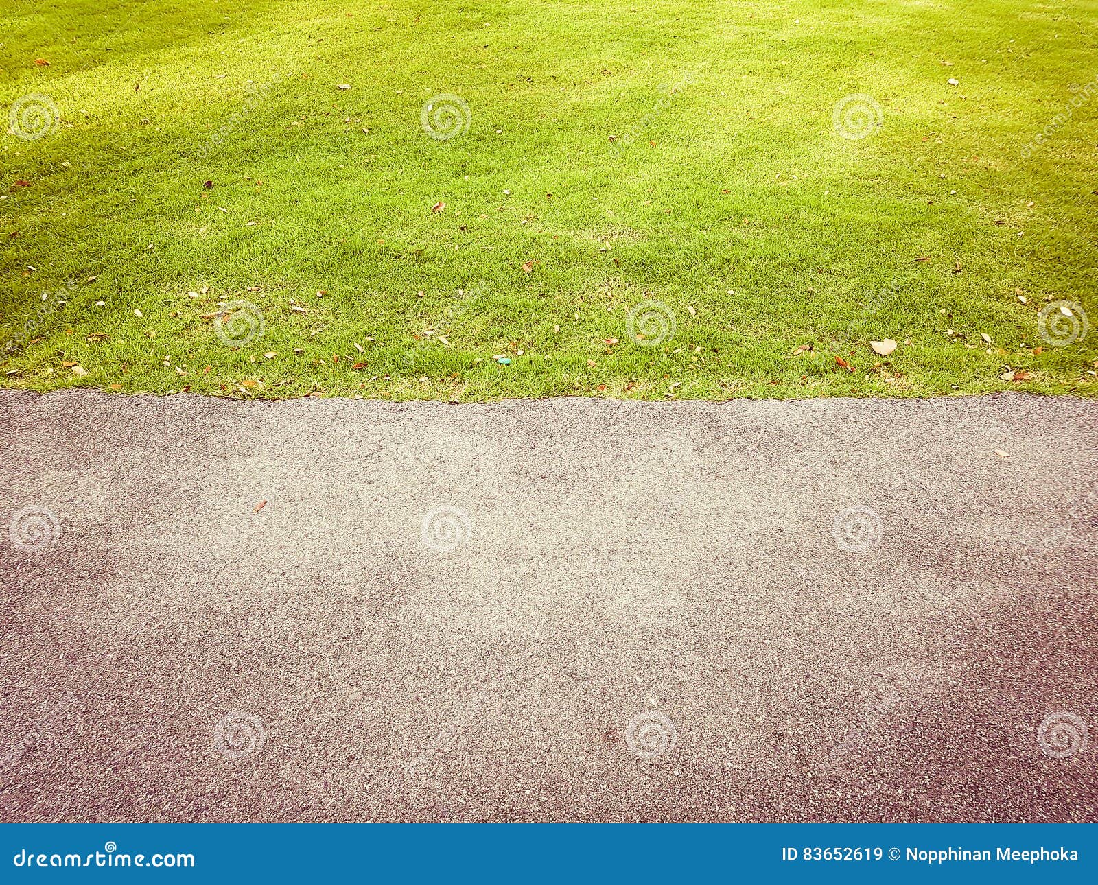 Asphalt Pavement with Green Grass. Stock Image - Image of color, ground ...