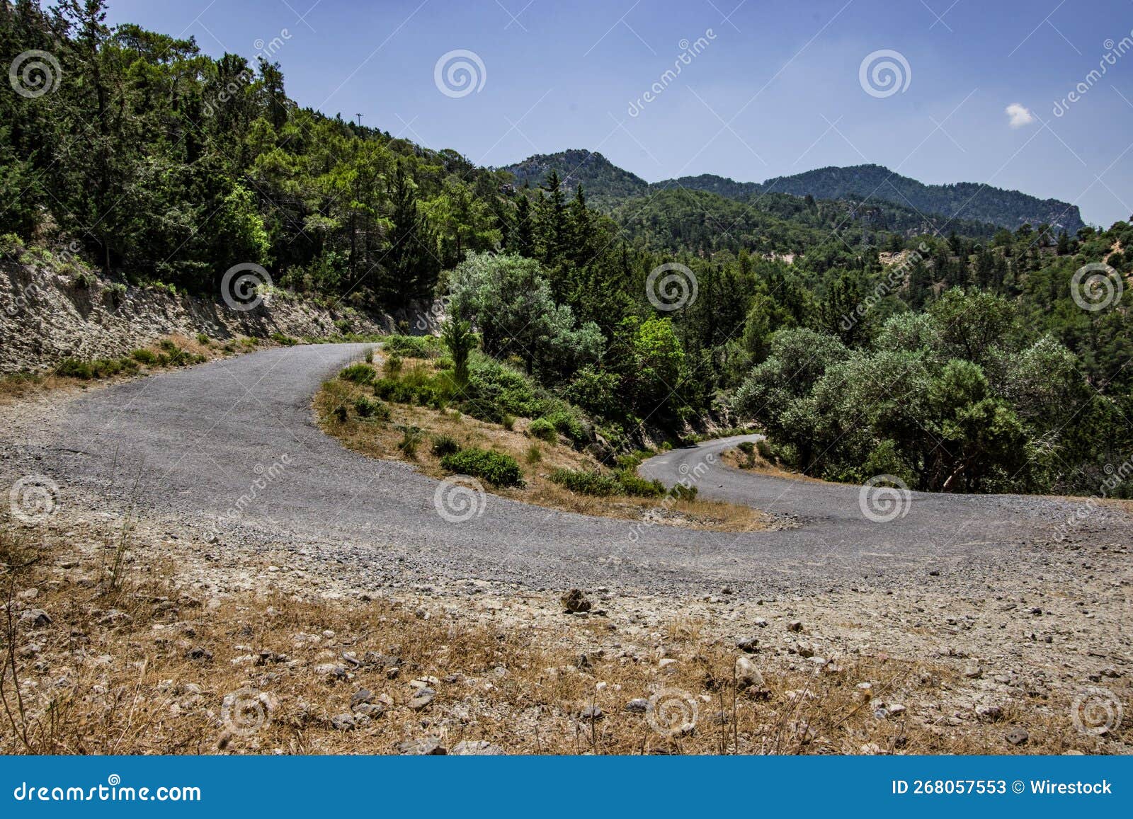 Asphalt Raising Road between Green Trees with Blue Sky in the Summer ...