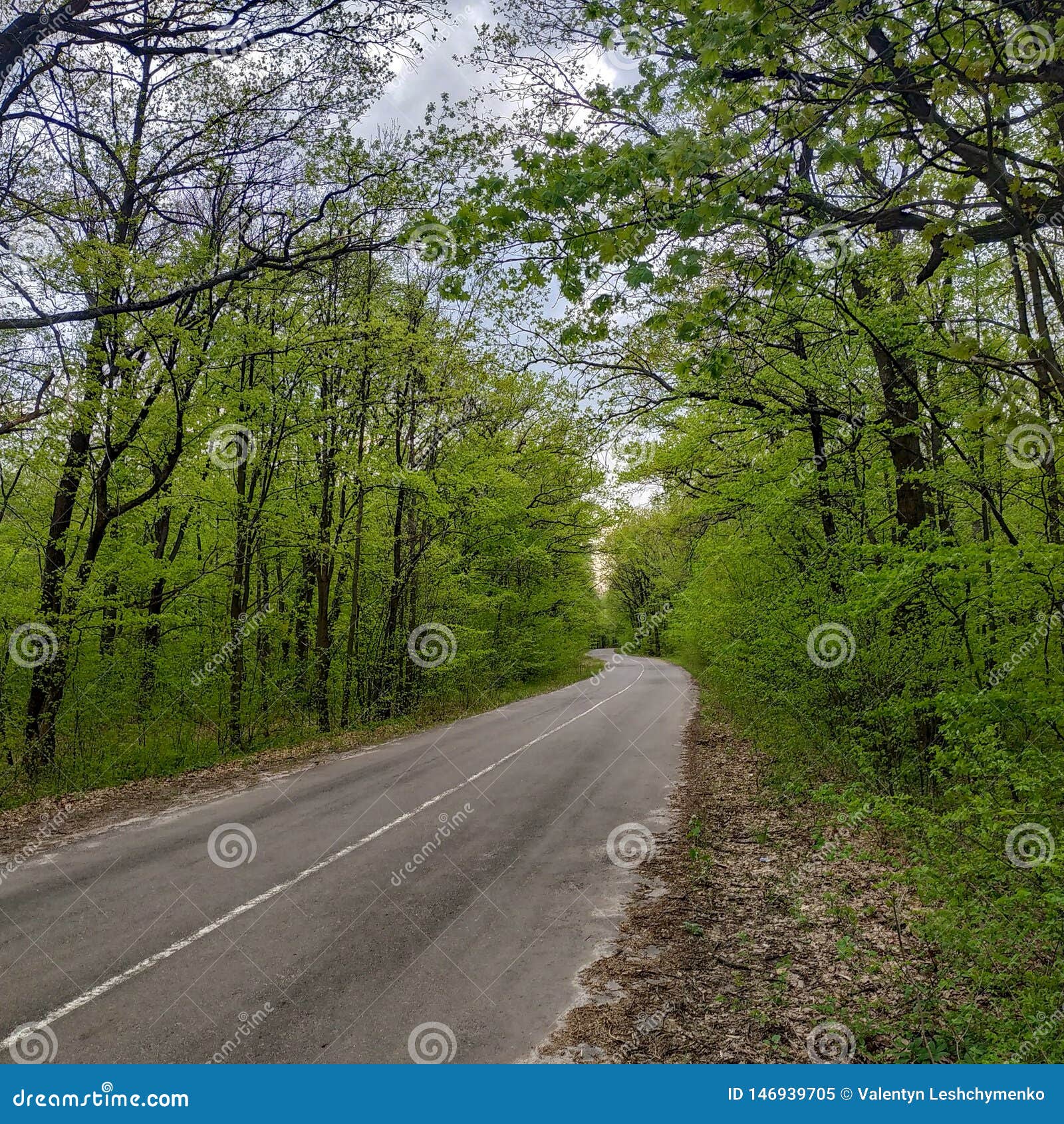 An Asphalt Road with an Applied Axial Line Stock Image - Image of ...