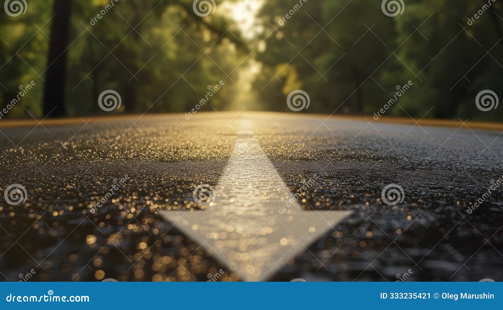An Asphalt Road with an Arrow Painted on it Symbolizes Growth ...