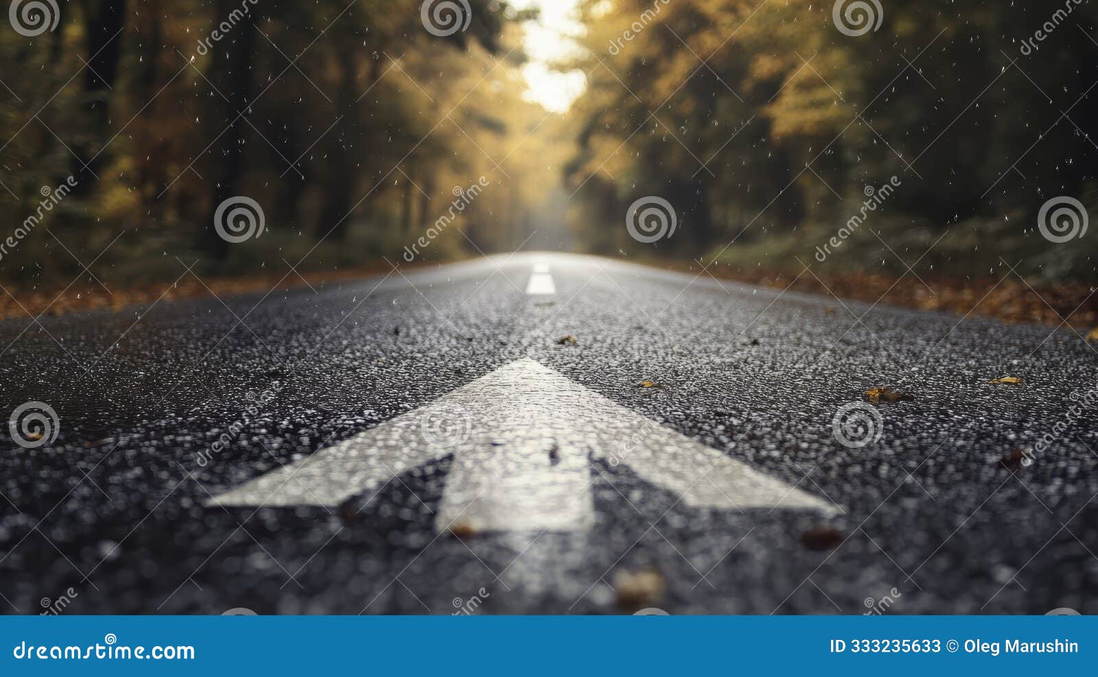 An Asphalt Road with an Arrow Painted on it Symbolizes Growth ...