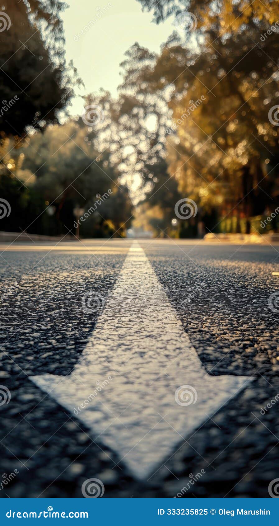 An Asphalt Road with an Arrow Painted on it Symbolizes Growth ...