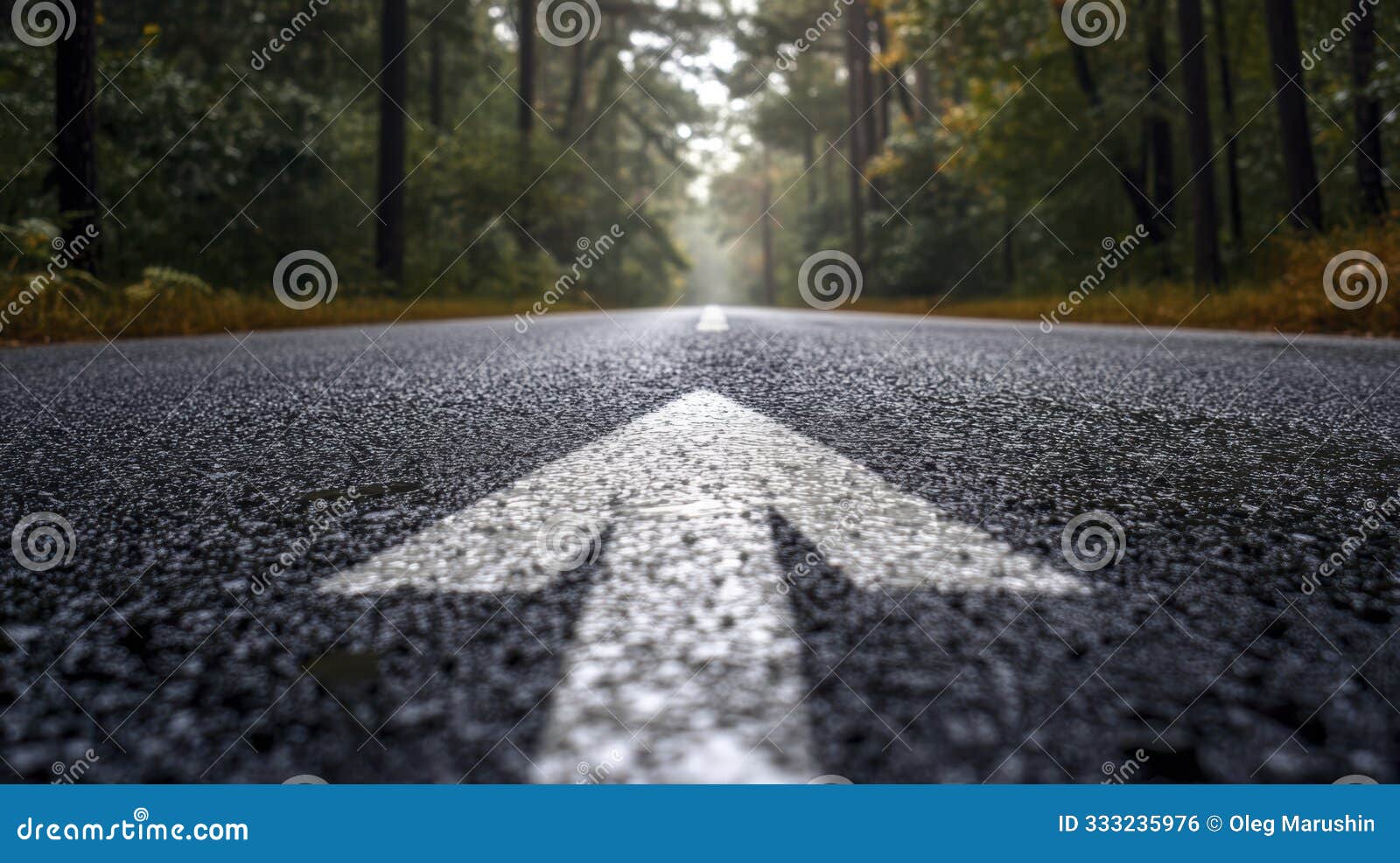An Asphalt Road with an Arrow Painted on it Symbolizes Growth ...