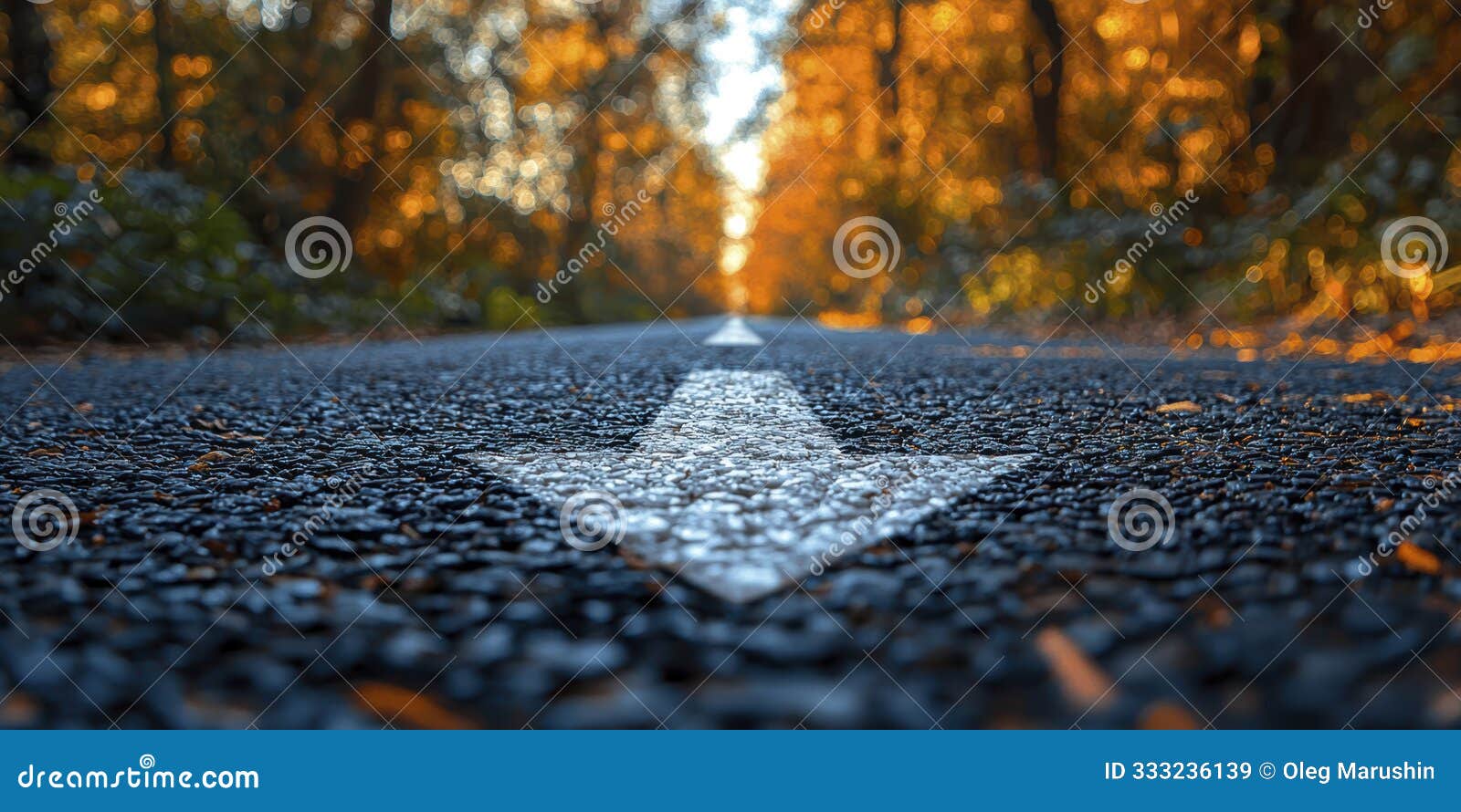 An Asphalt Road with an Arrow Painted on it Symbolizes Growth ...